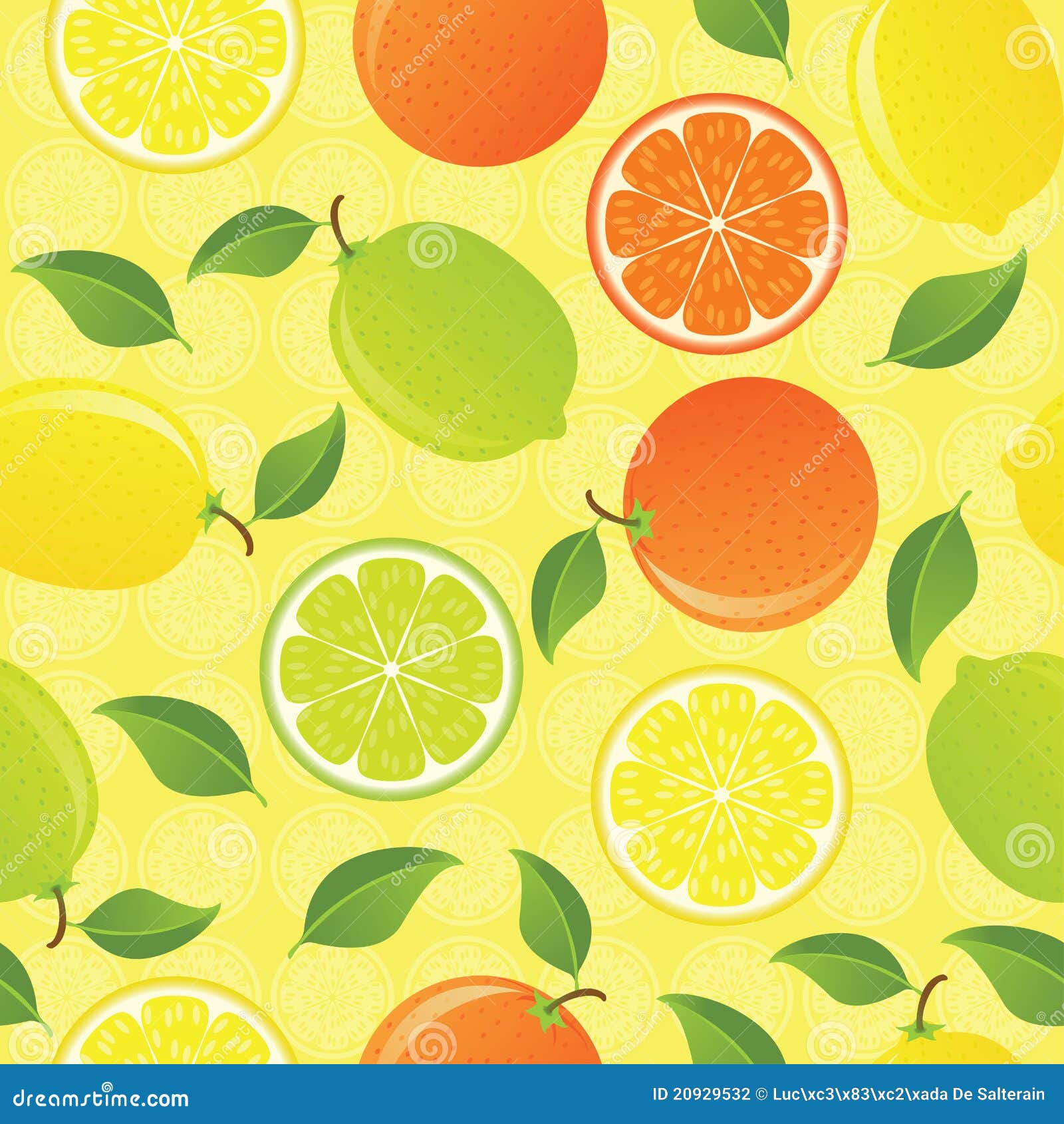 Citrus Seamless Pattern stock vector. Illustration of sweet - 20929532