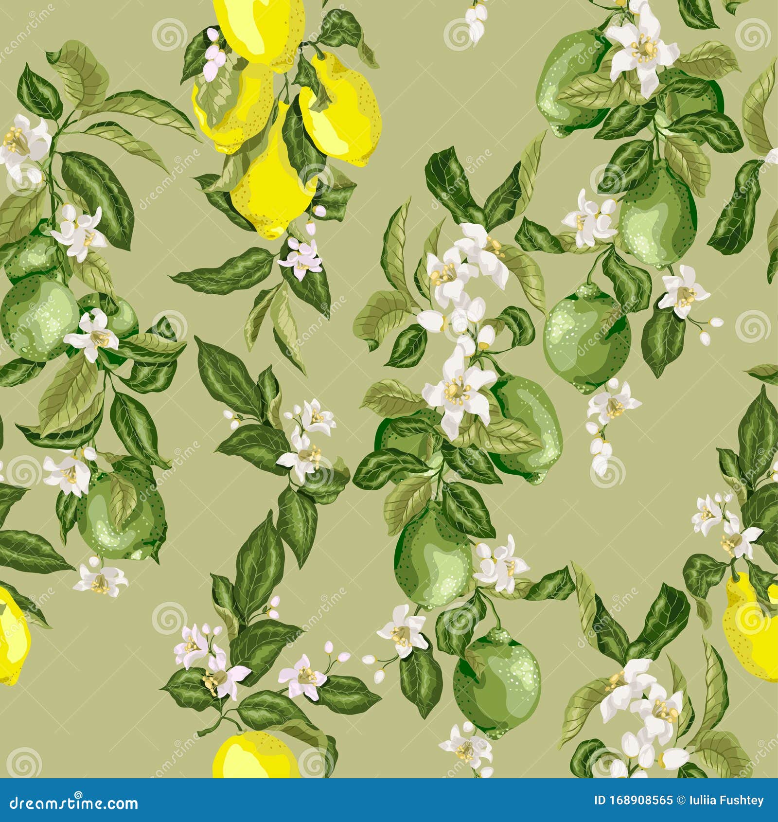 Citrus Seamless Pattern Illustration Fruits Stock Illustration ...