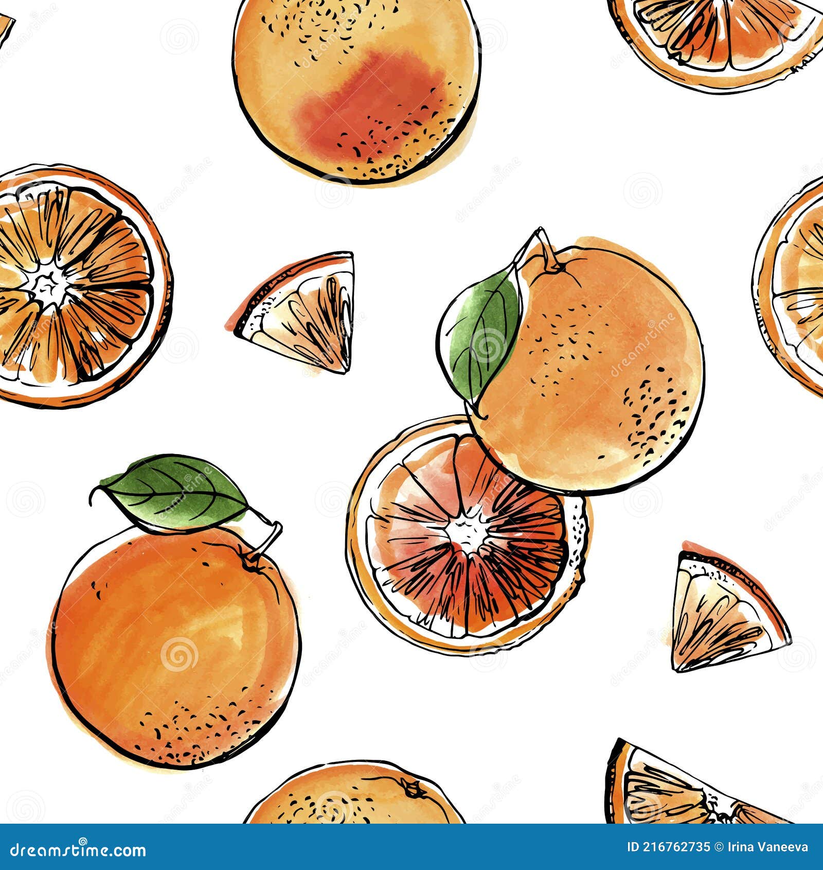 Citrus Sketch Pattern. Drawing in Ink and Watercolors on a White ...