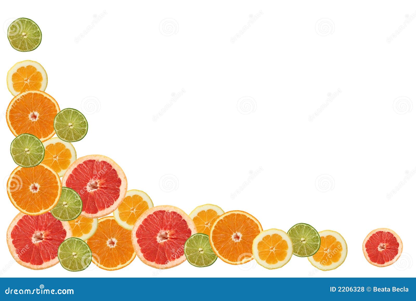 Citrus slice frame stock photo. Image of nutritional, citrus - 2206328