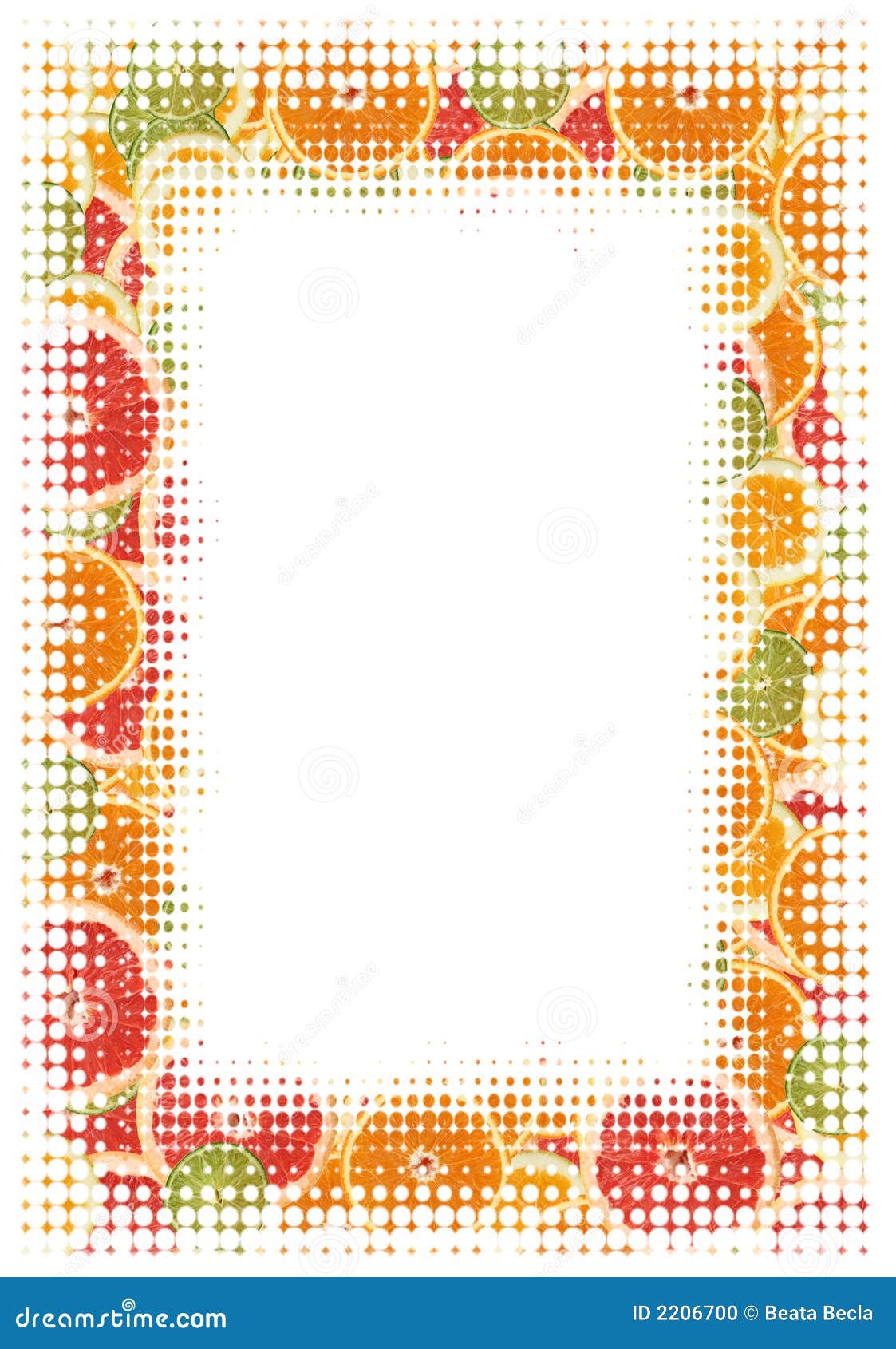 Citrus slice frame stock illustration. Illustration of design - 2206700