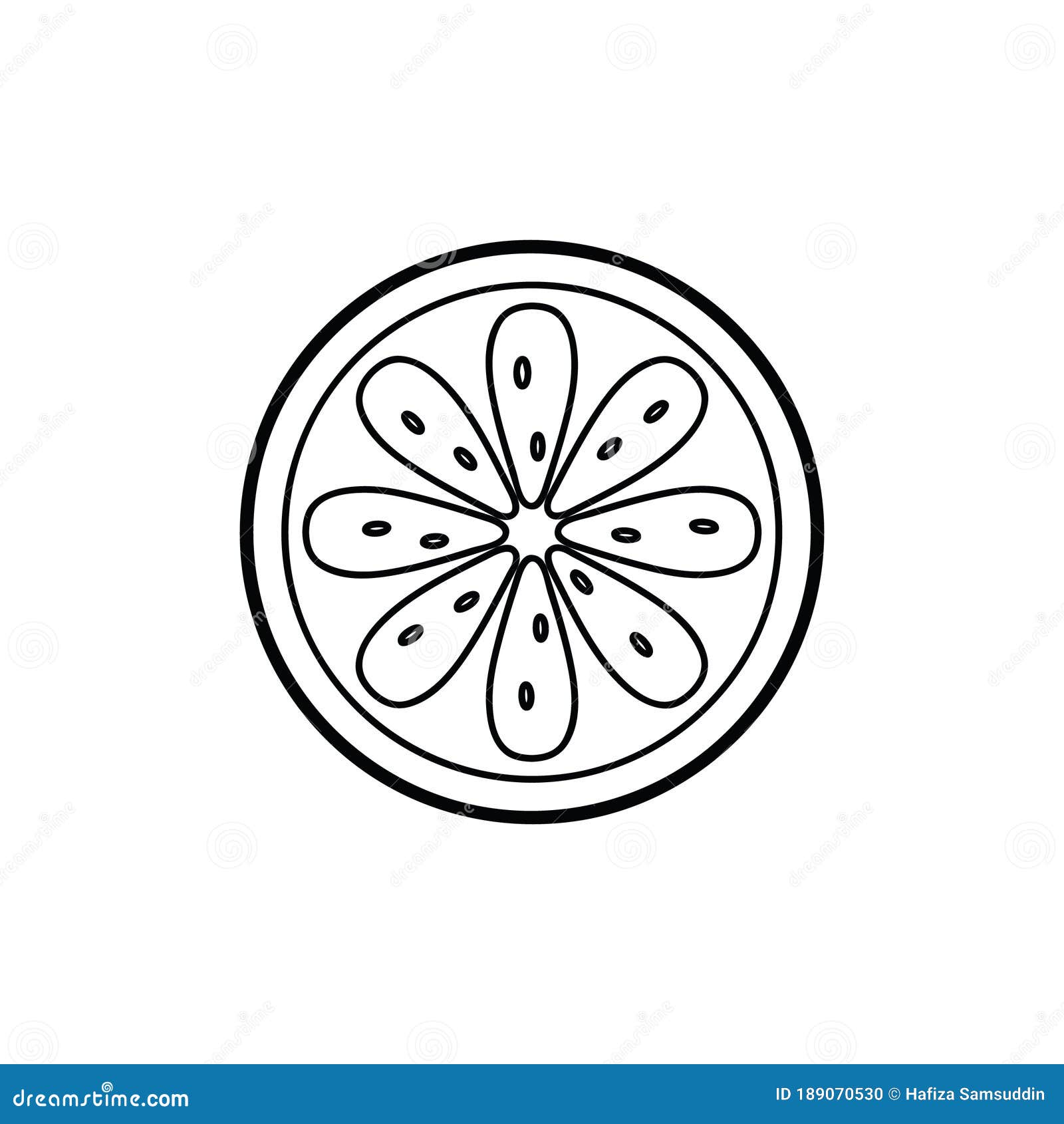 Citrus Slice. Vector Illustration Decorative Design Stock Vector ...