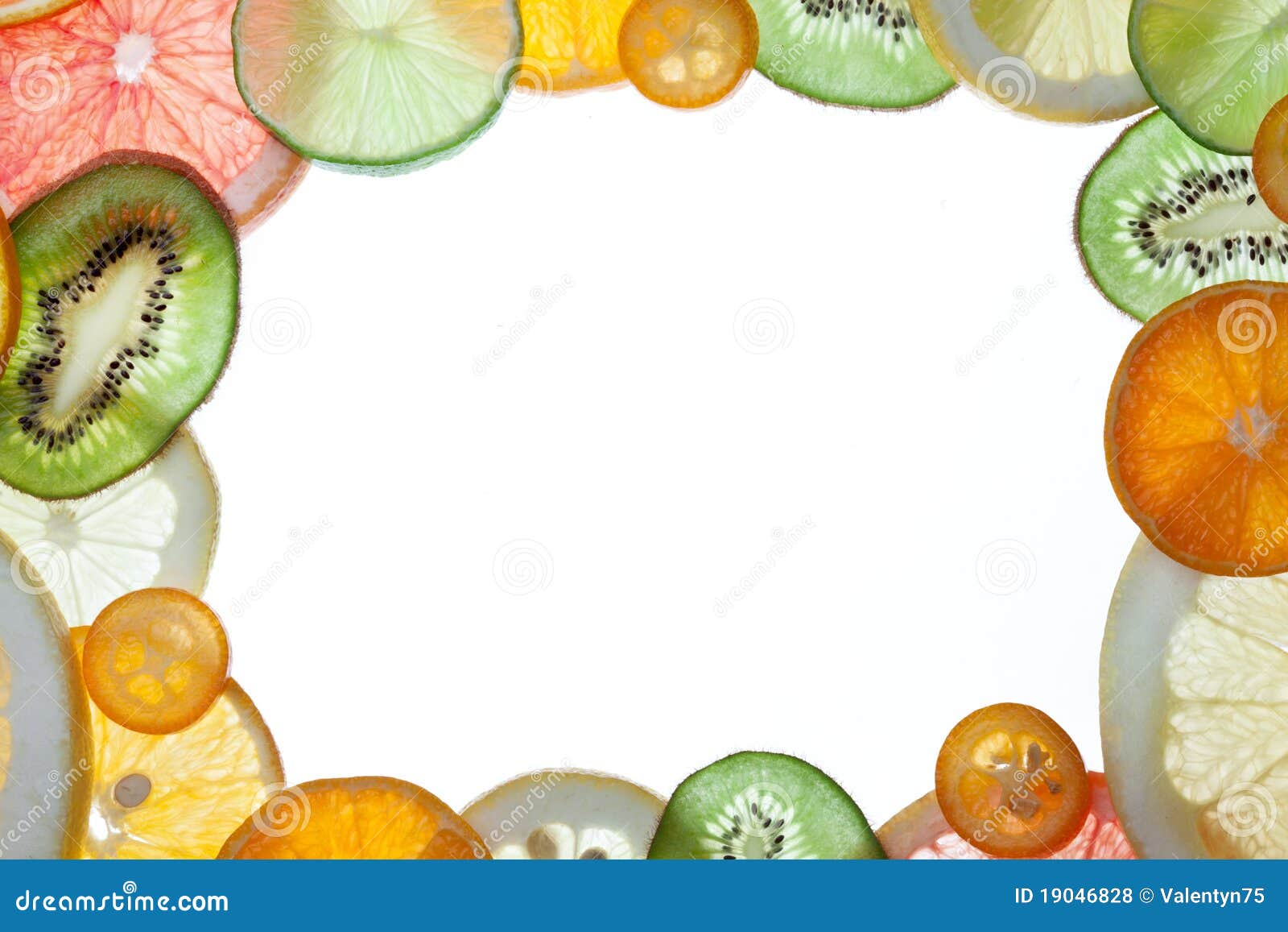 Citrus slices frame. stock photo. Image of frame, mandarin - 19046828