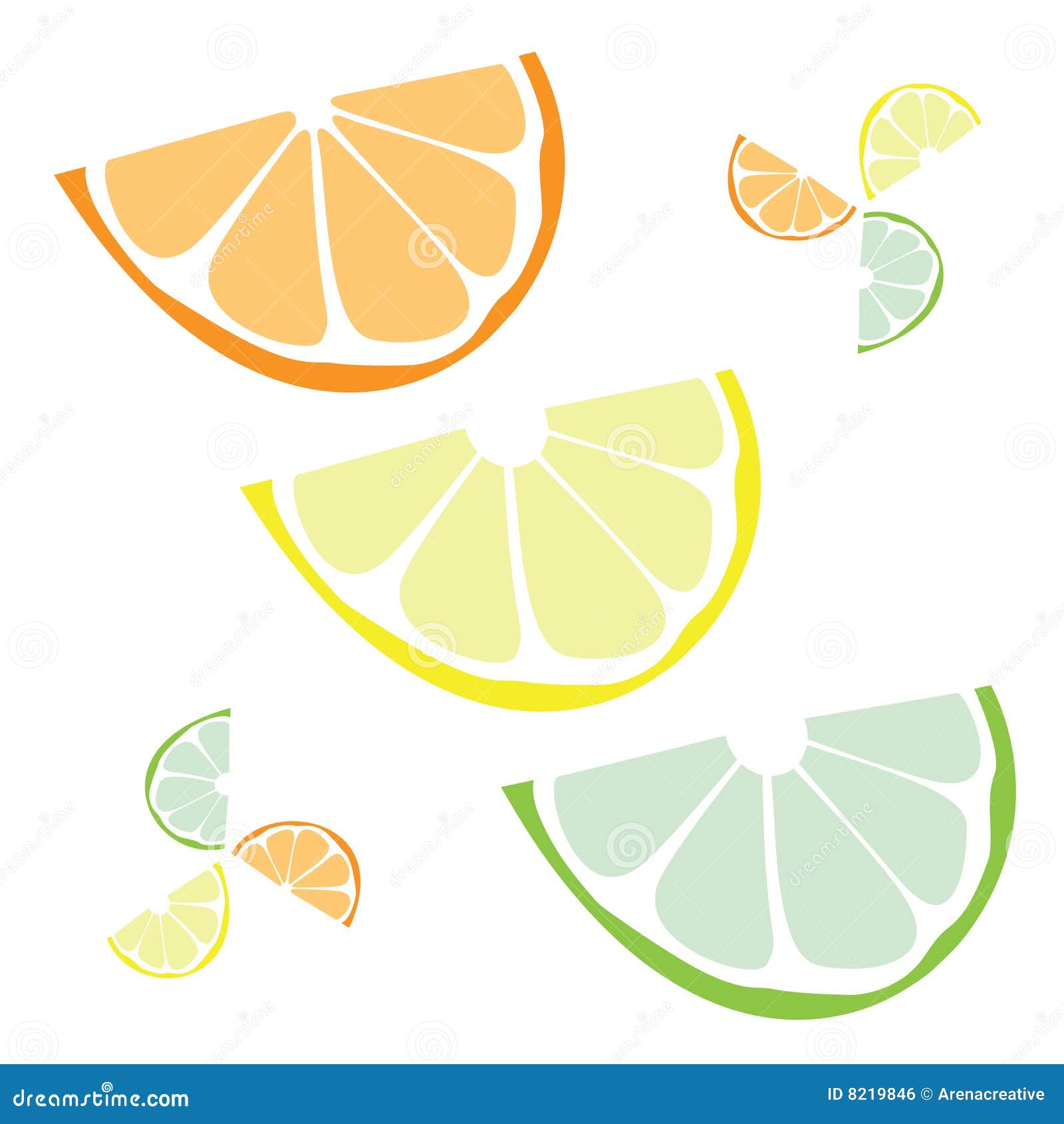 Citrus Slices Vector stock vector. Illustration of nutrition - 8219846