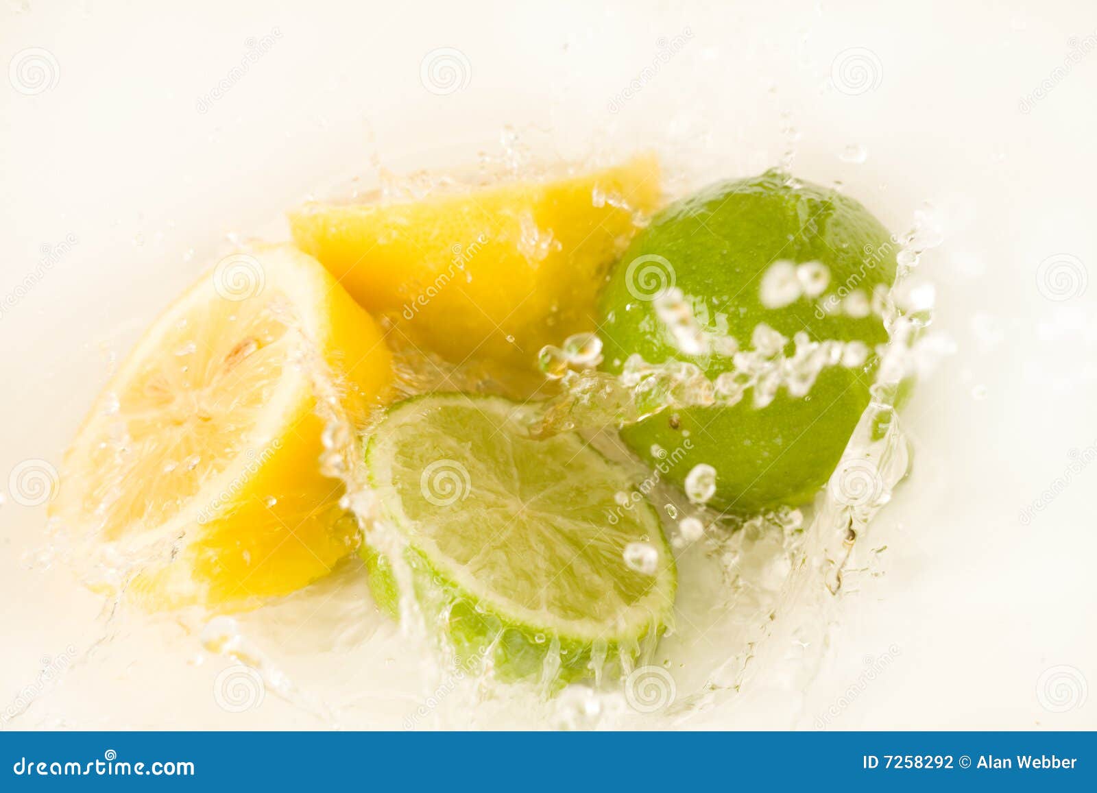 Citrus splash stock photo. Image of refreshing, slice - 7258292