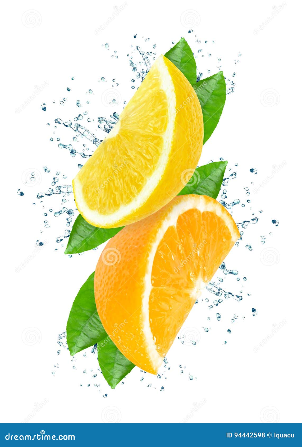 Citrus splash water stock photo. Image of lemon, orange - 94442598