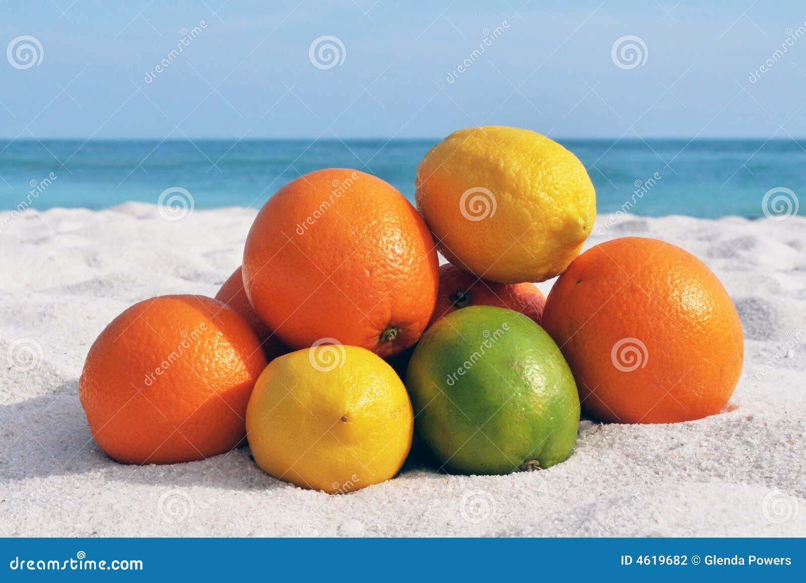 Citrus in Sunshine stock photo. Image of ocean, sunny - 4619682