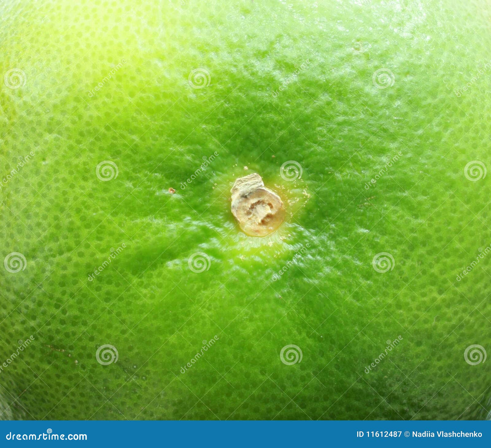 Citrus top stock image. Image of green, food, juice, fresh - 11612487