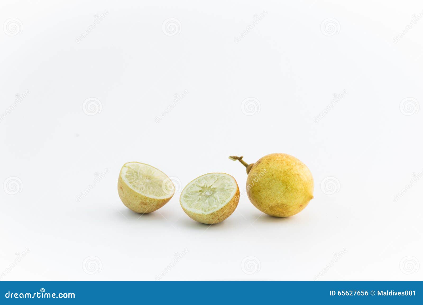 Citrus Tree Diseases, Lemon Stock Photo - Image of citrus, citri: 65627656