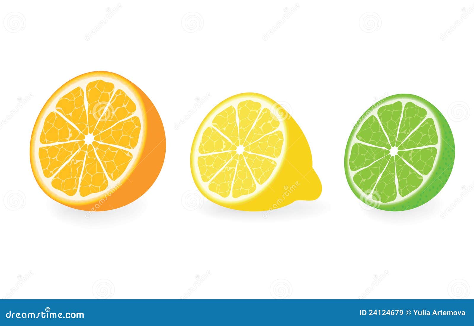 Citrus Vector Collection Royalty Free Stock Images - Image: 24124679