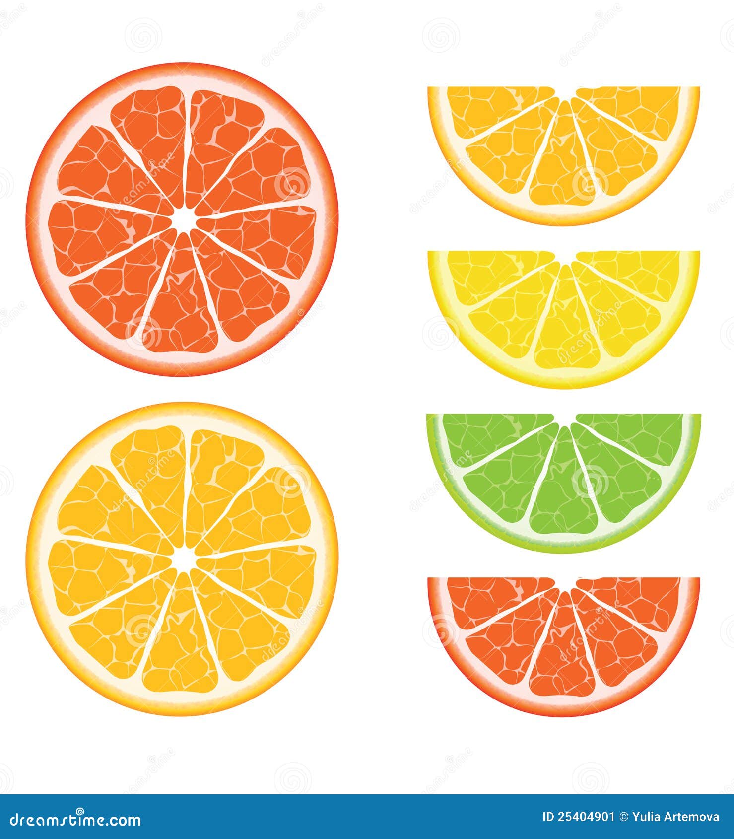 Citrus vector collection stock vector. Illustration of lemon - 25404901