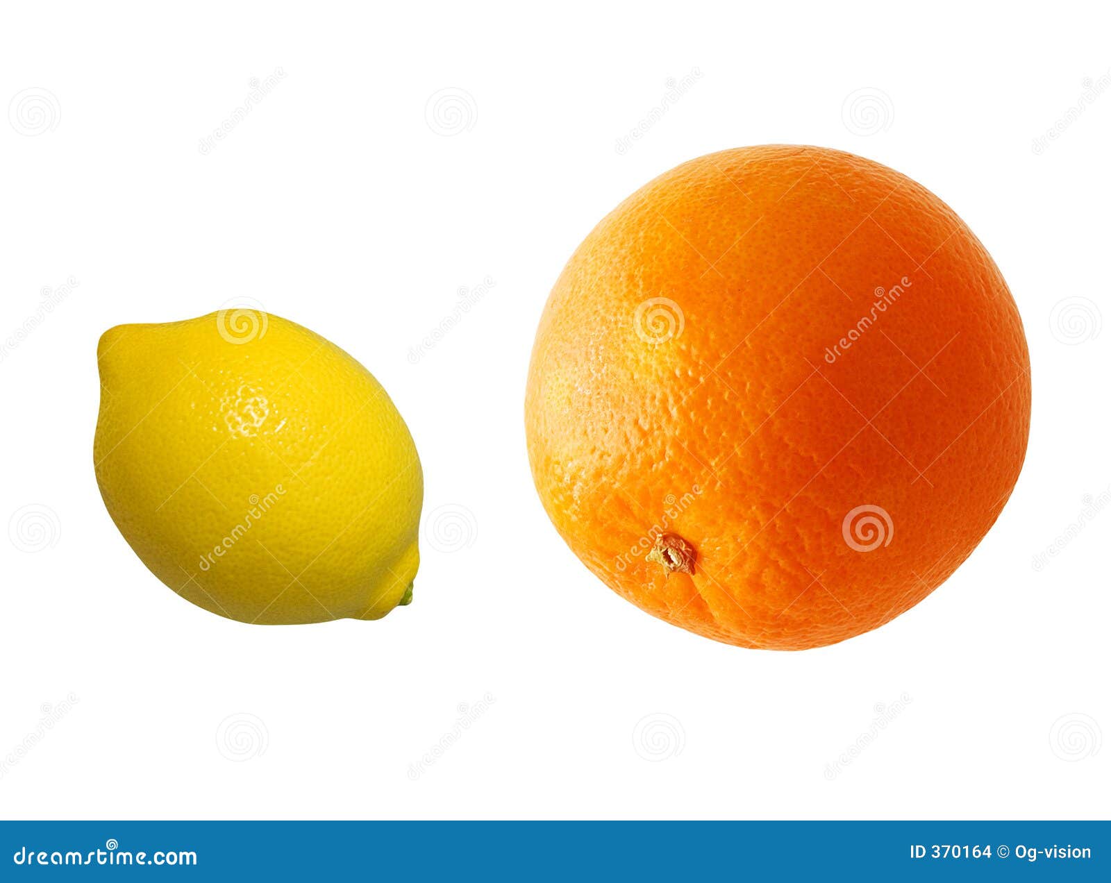 Citruses stock photo. Image of orange, acid, yellow, vitamin - 370164