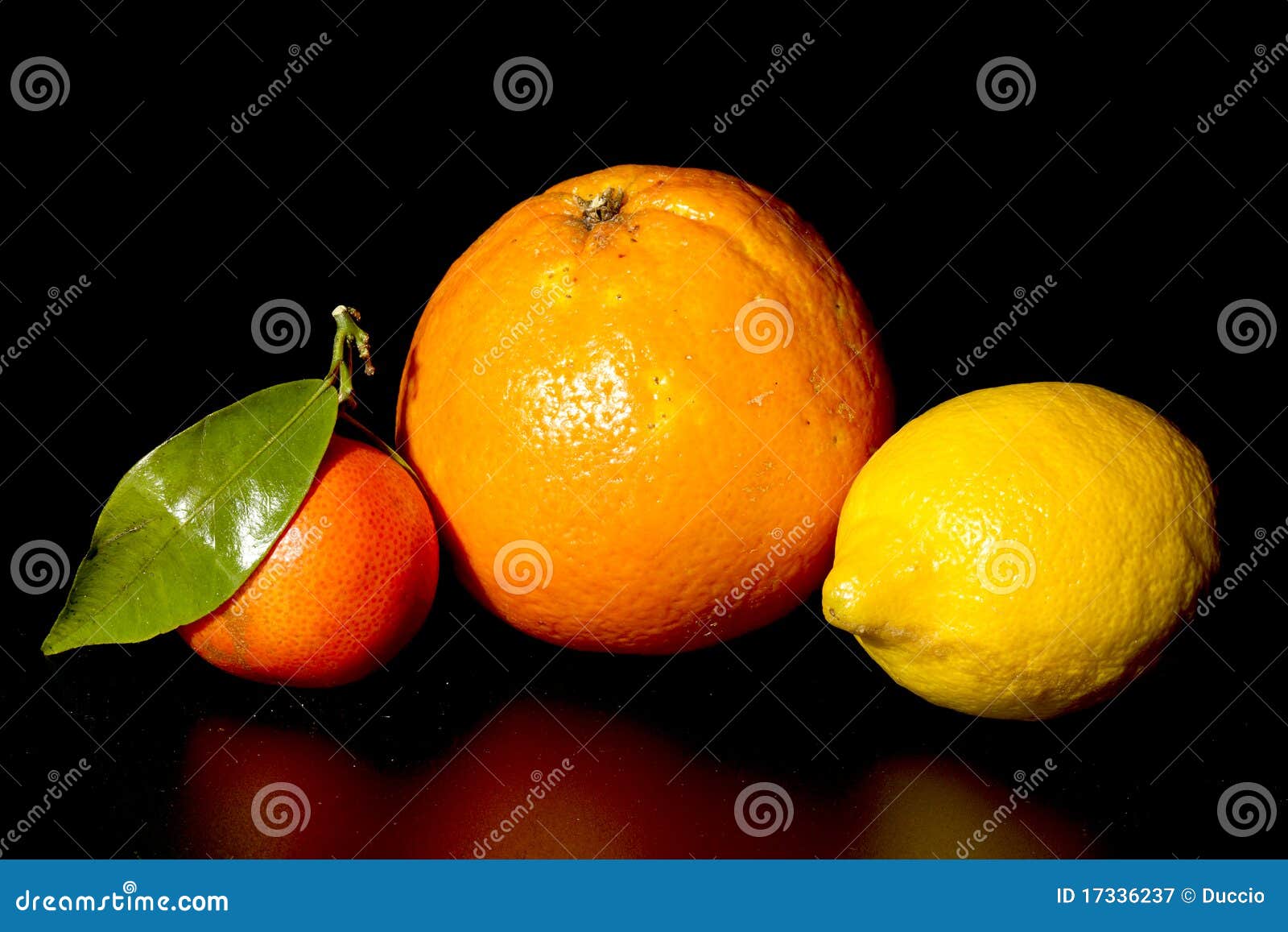 Citrusvrucht stock afbeelding. Afbeelding bestaande uit farming - 17336237