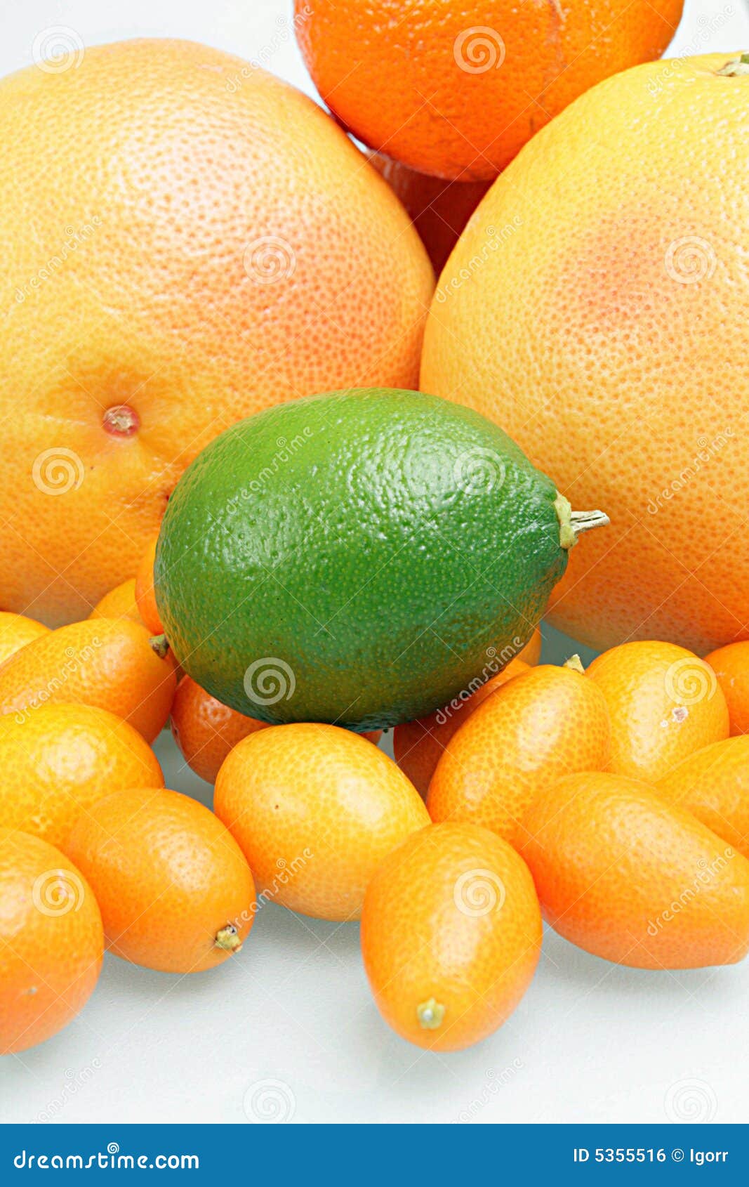 Citrusvrucht stock foto. Image of groen, gastronomisch - 5355516