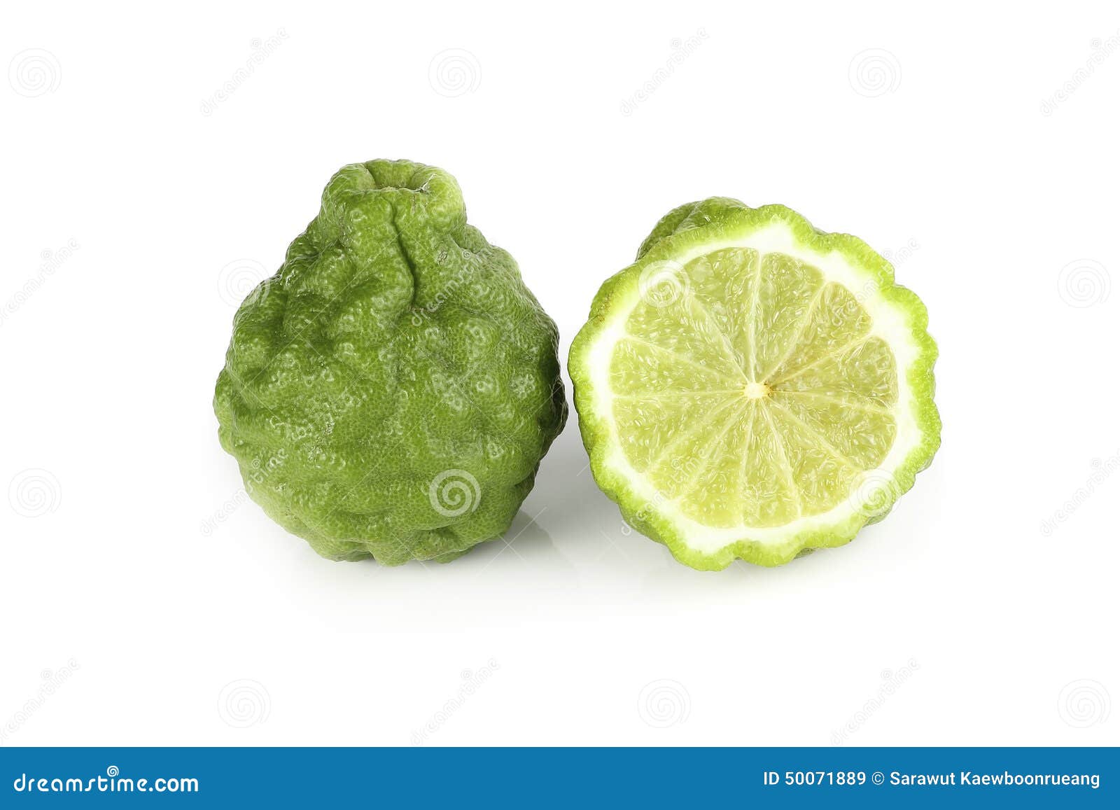 Citrusvrucht Hystrix, Bergamot Witte Achtergrond Stock Afbeelding ...