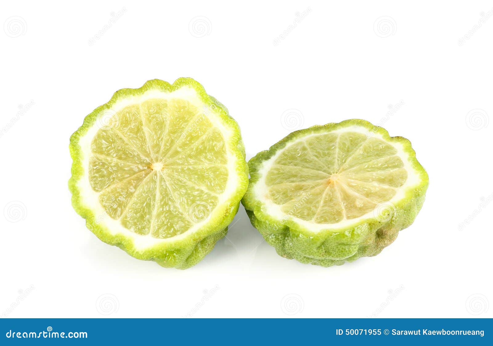 Citrusvrucht Hystrix, Bergamot Witte Achtergrond Stock Afbeelding ...