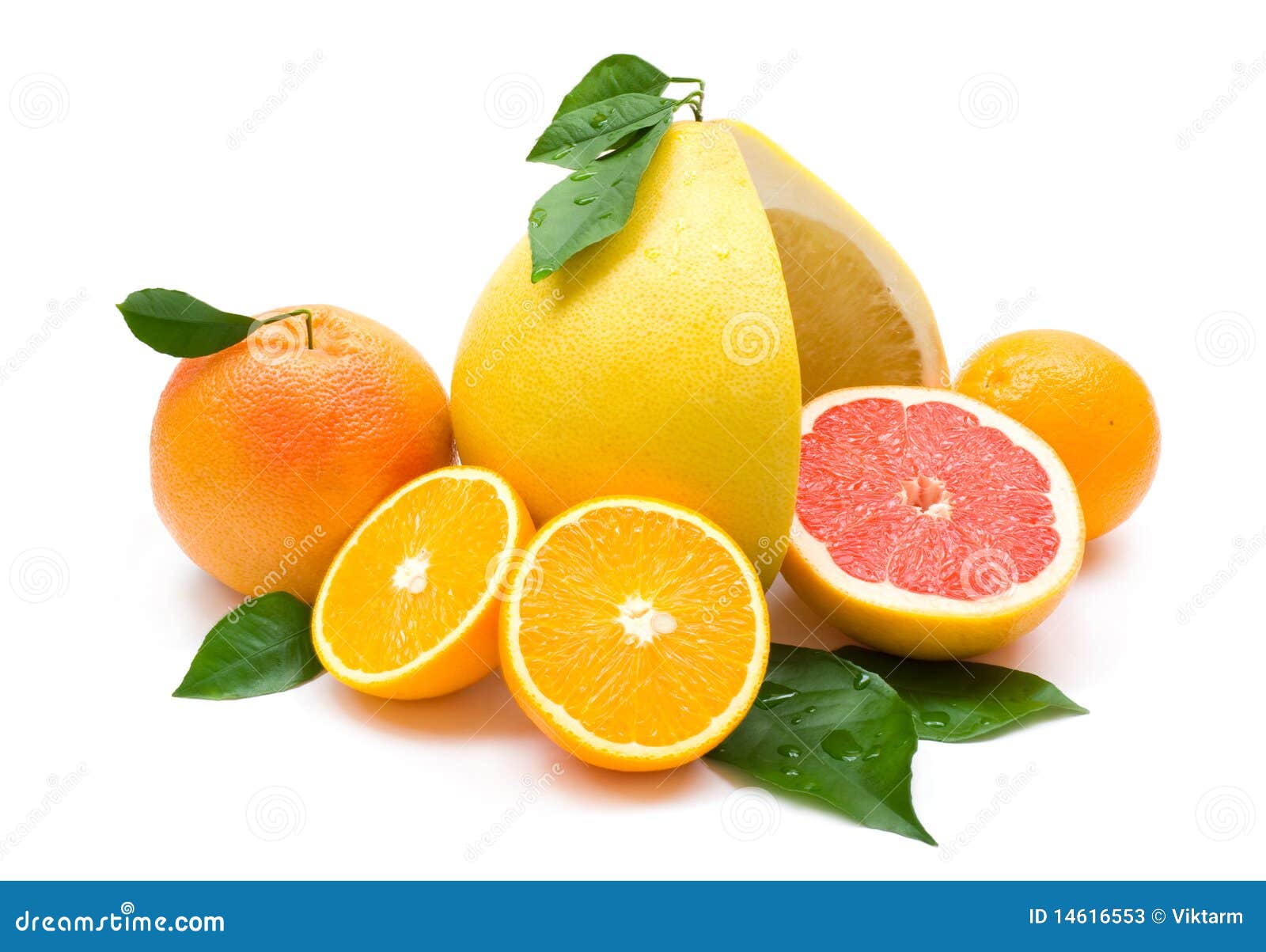 Citrusvruchten stock afbeelding. Image of naughty, reeks - 14616553