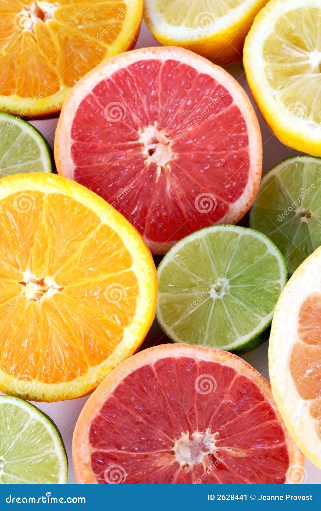 Citrusvruchten Picture. Image: 2628441