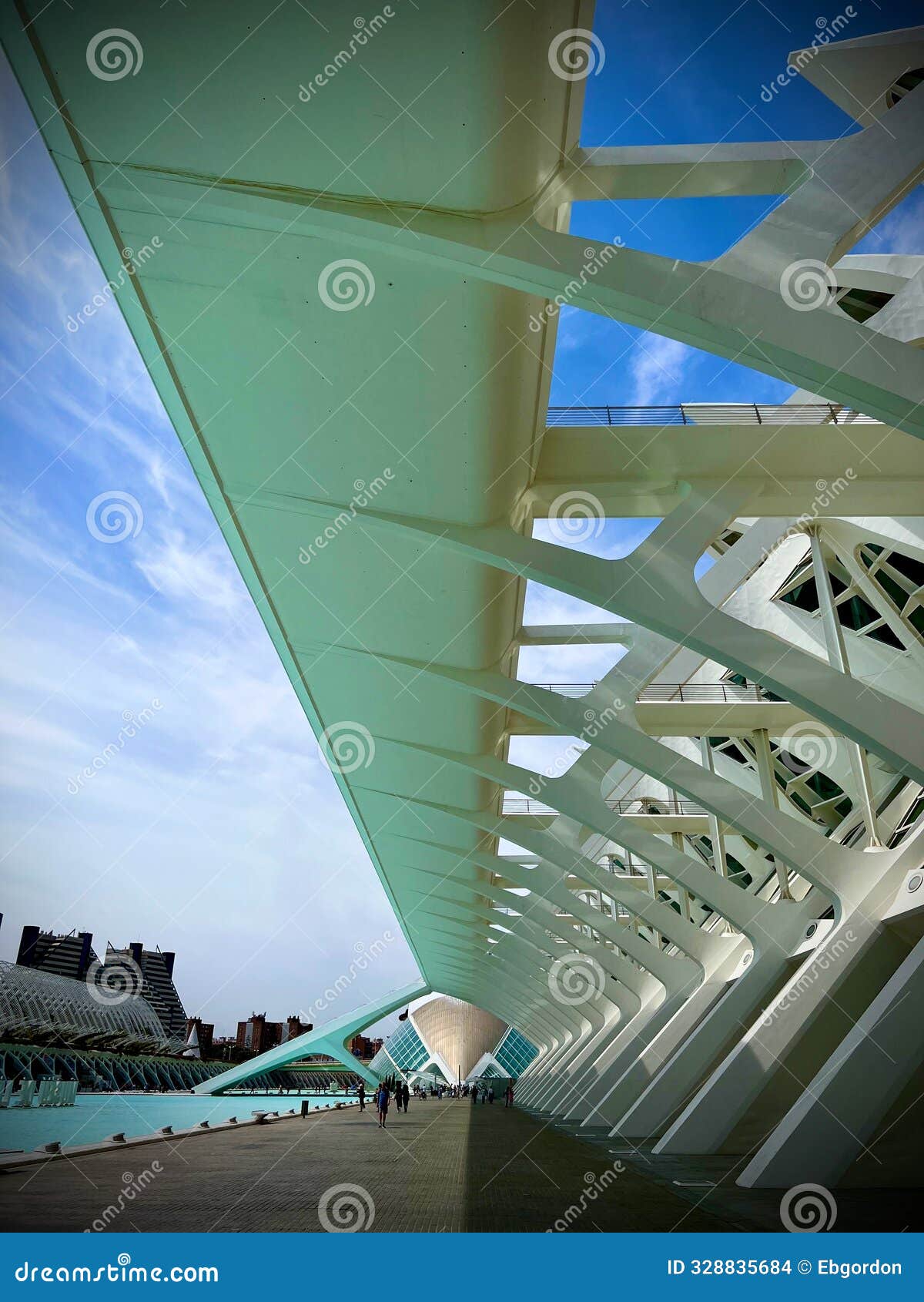 Innovative Structural Design of the City of Arts and Sciences in ...