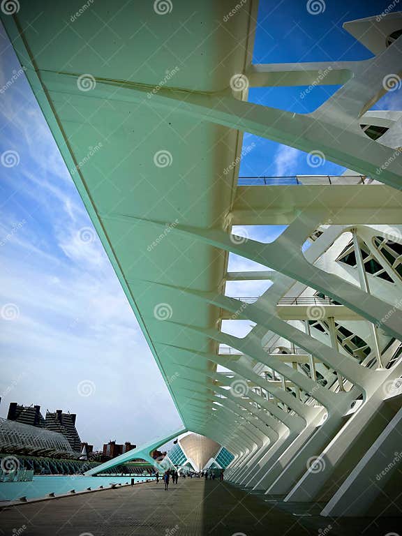 Innovative Structural Design of the City of Arts and Sciences in ...