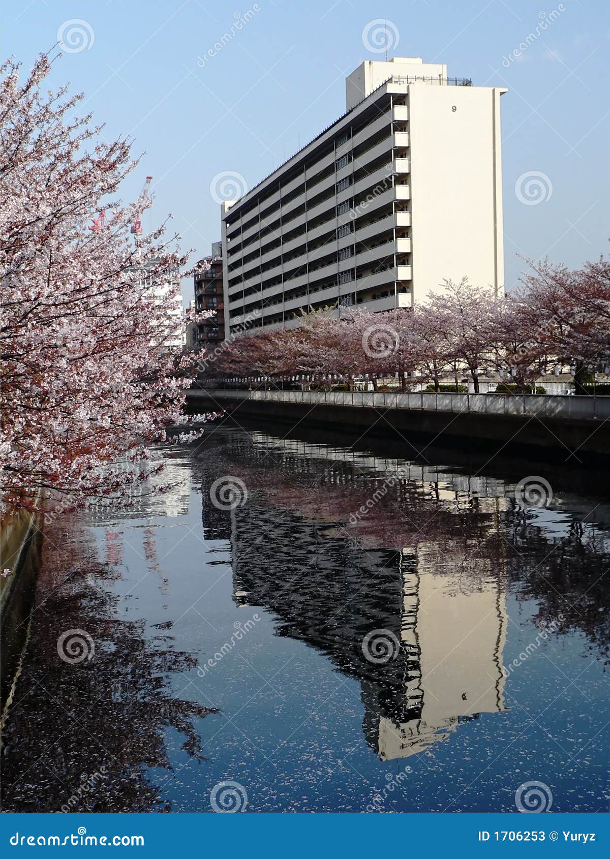 City Building Reflection in Spring Stock Image - Image of season ...