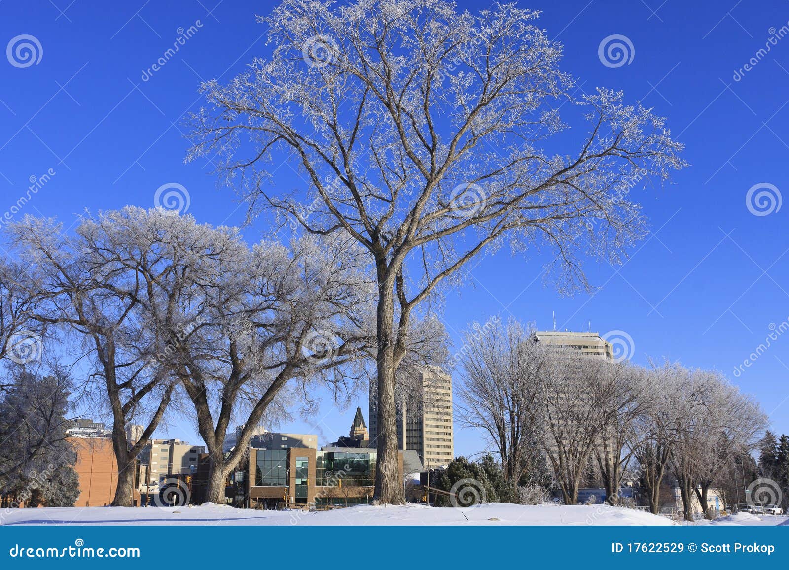 City buildings in Winter stock image. Image of cold, snow - 17622529