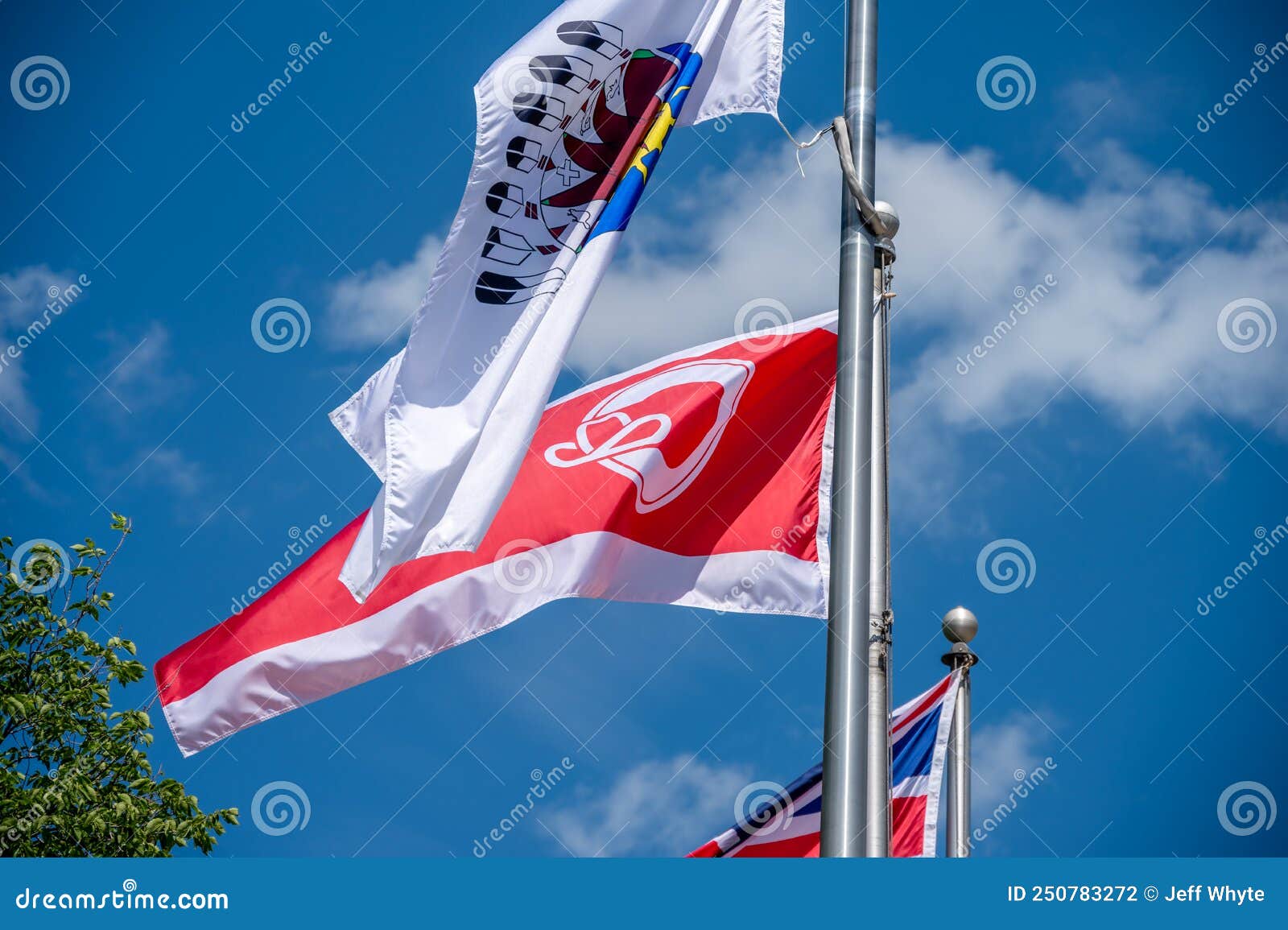 City of Calgary Flag stock photo. Image of region, waiving - 250783272