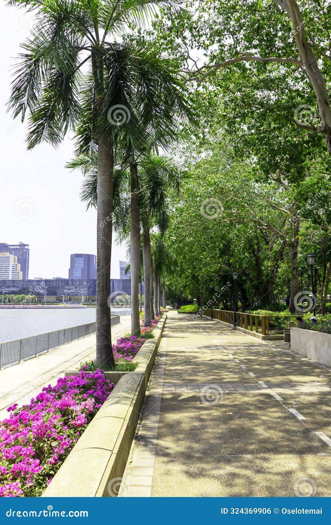 City Center Parks and Garden Paths on Clear Days Stock Photo - Image of ...