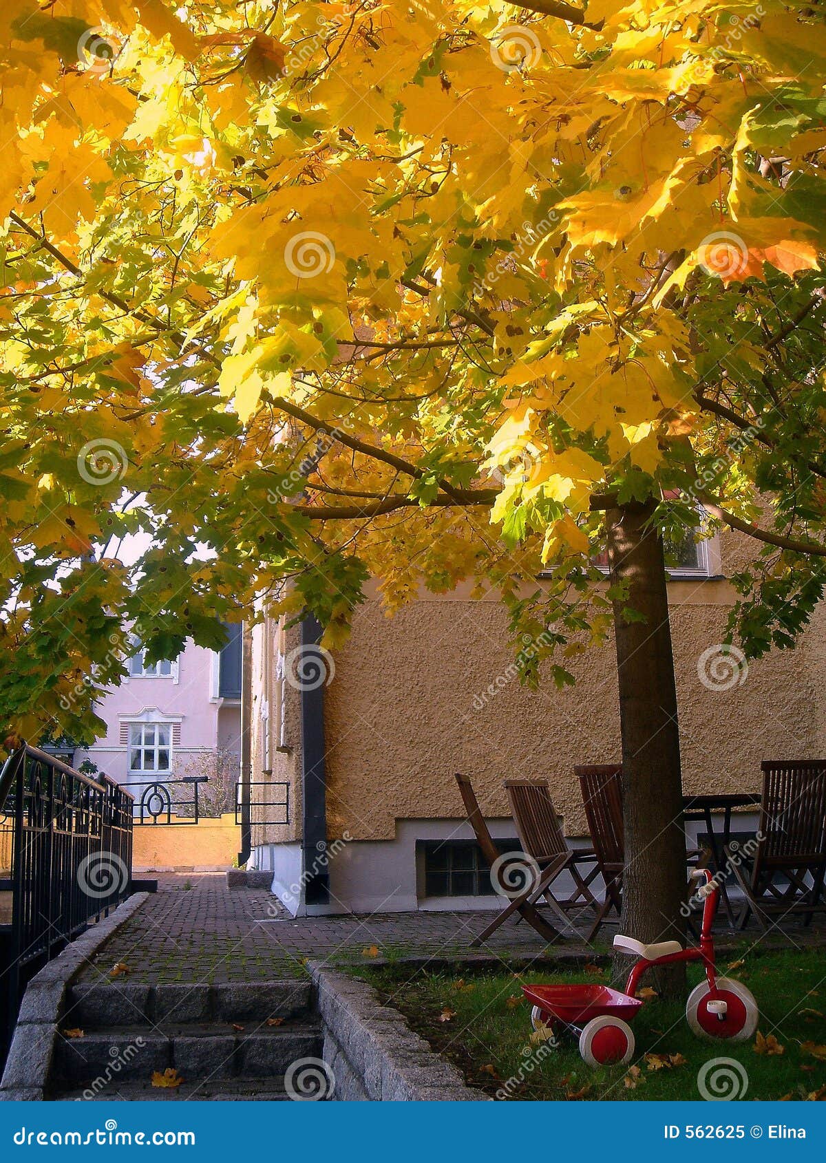 City Courtyard in the Autumn Stock Image - Image of plant, park: 562625