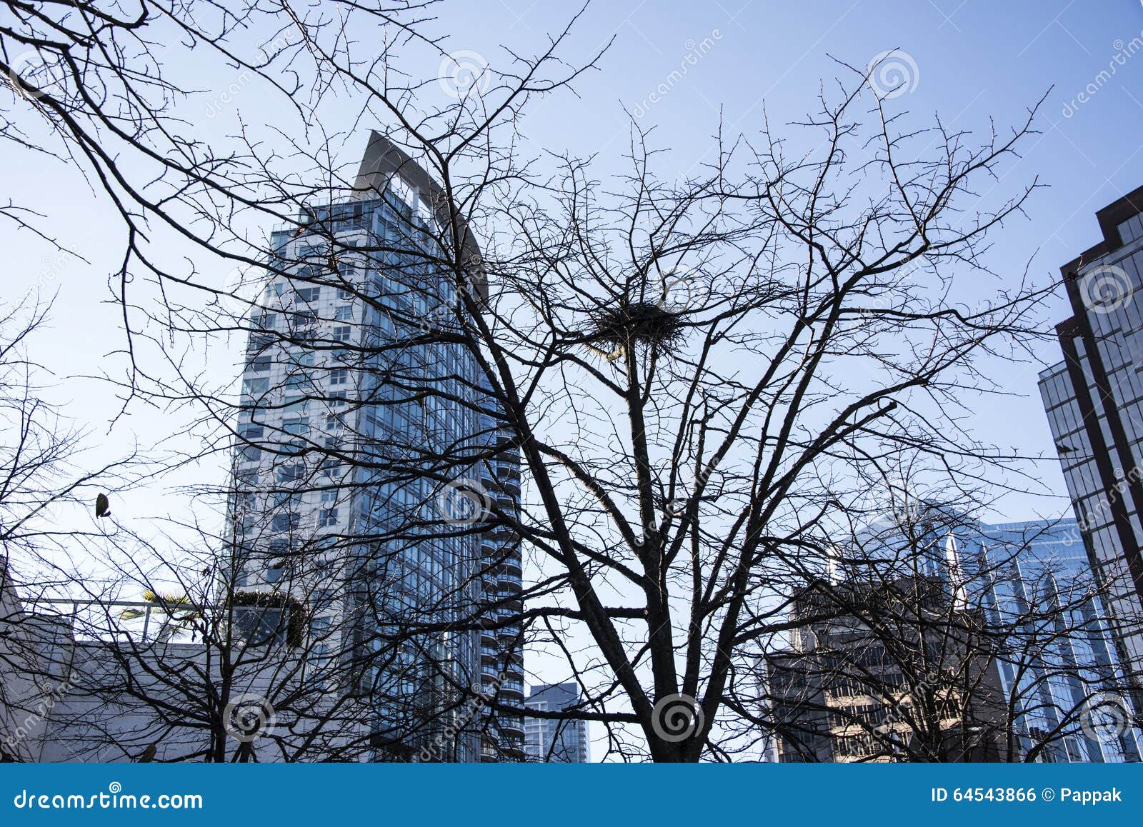 The city encroaches stock photo. Image of nature, birds - 64543866