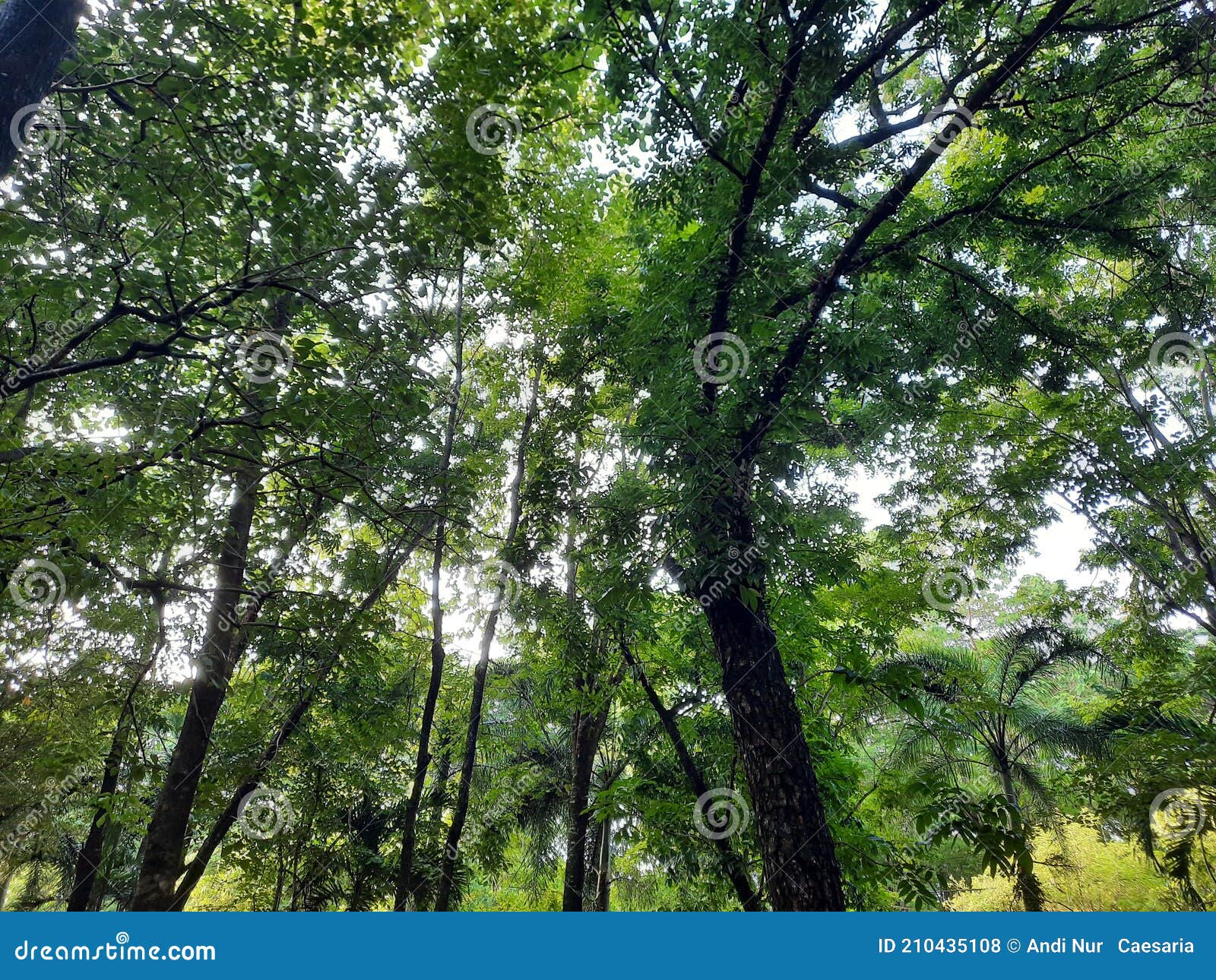 Maros Regency Stock Photos - Free & Royalty-Free Stock Photos from ...