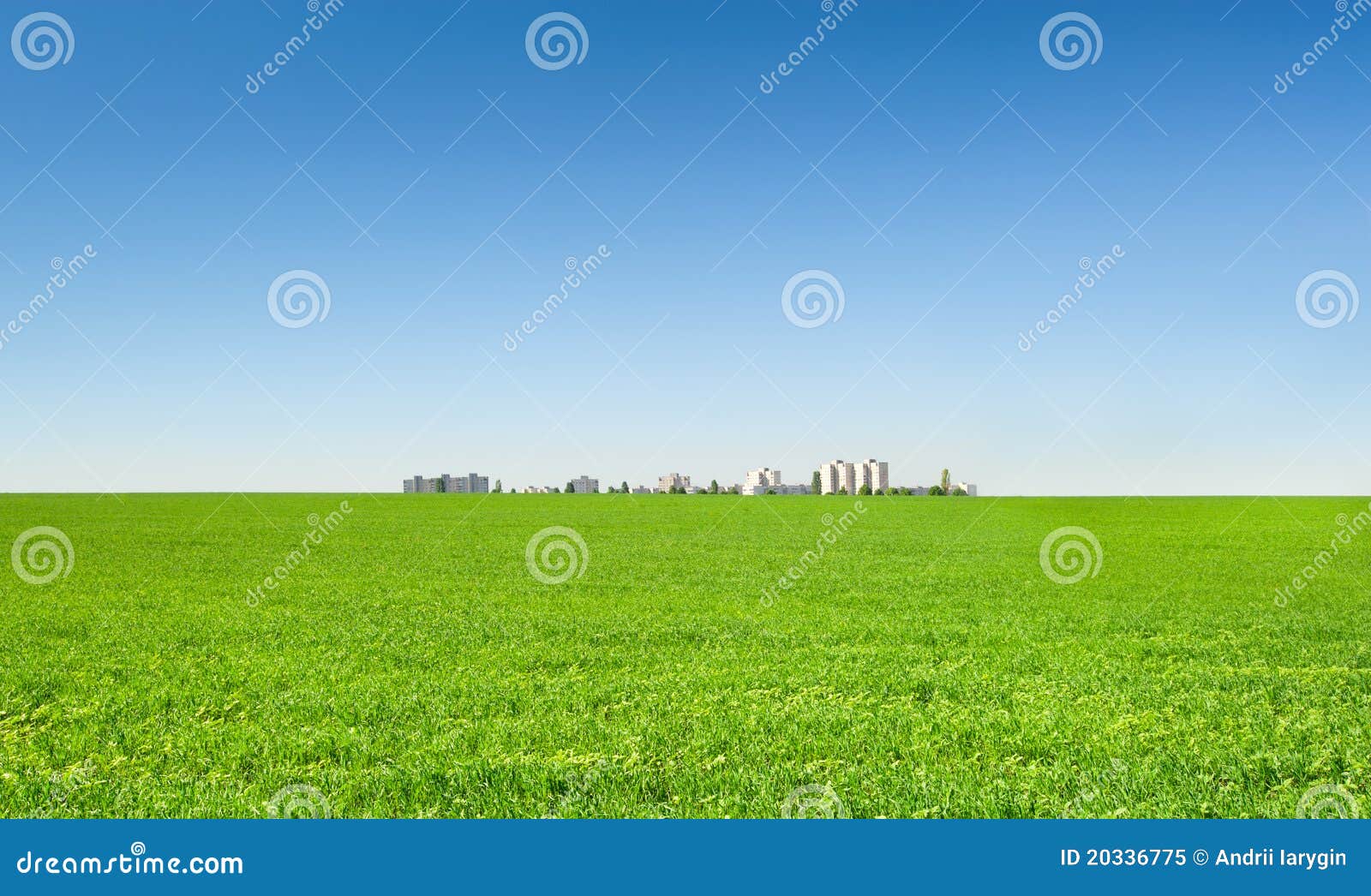City from the Grass stock image. Image of city, lawn - 20336775