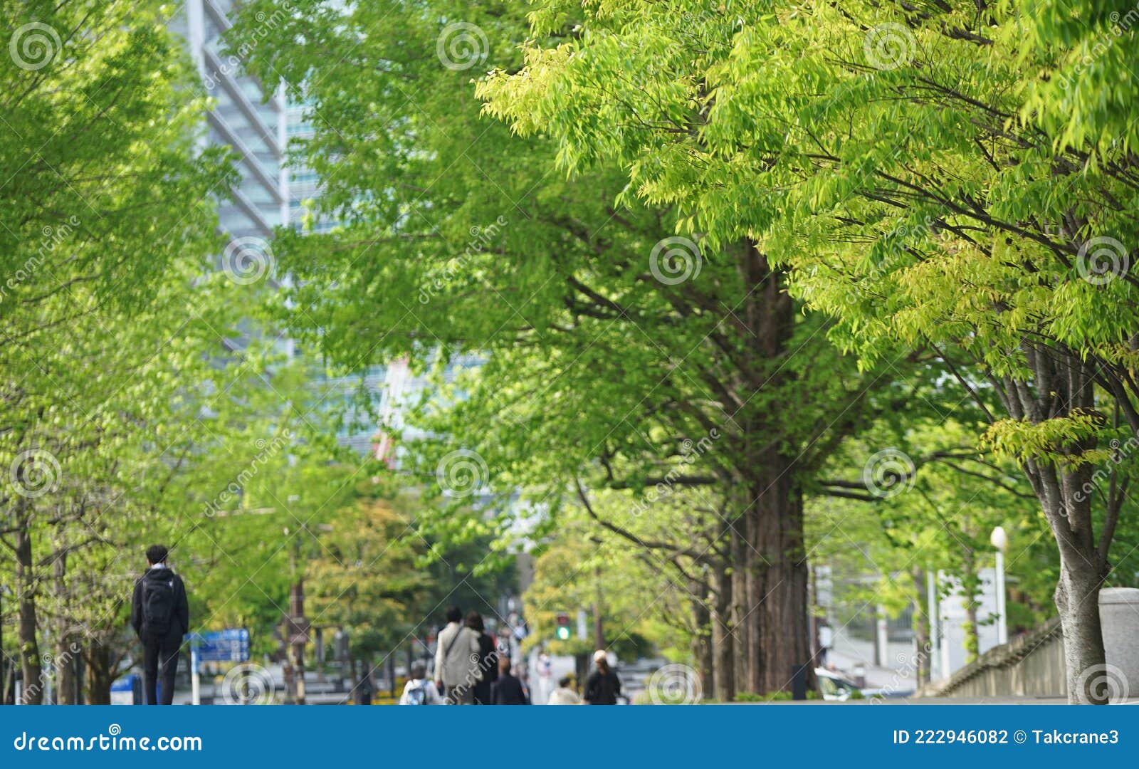 City Greenery stock photo. Image of town, leaf, city - 222946082