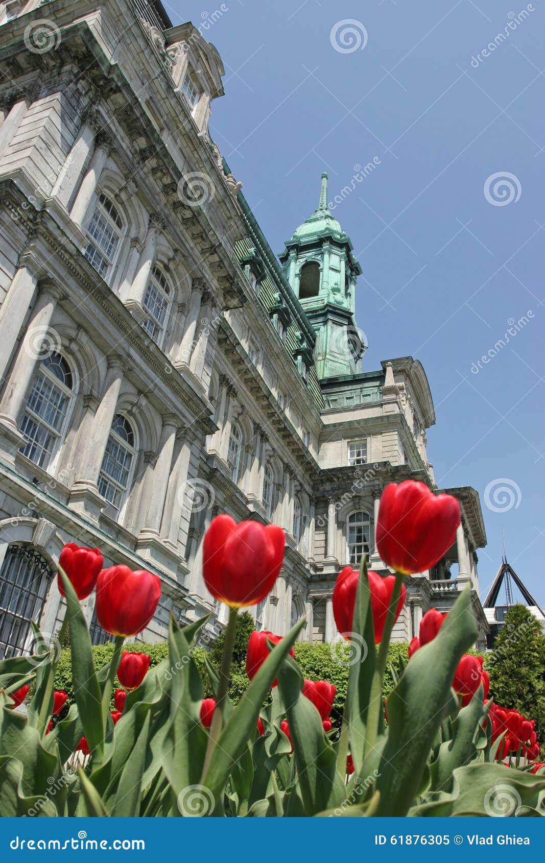 City Hall of Montreal in Spring with Red Tulips on the Foreground Stock ...