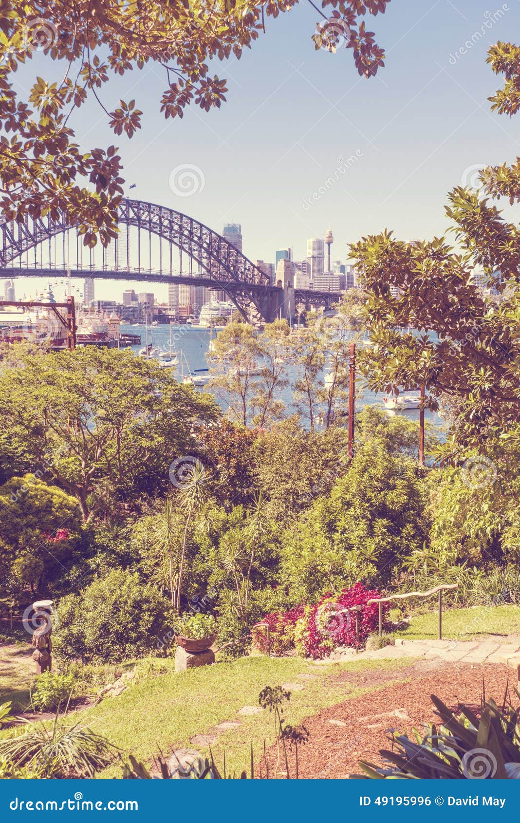 Sydney from Lavender Bay Park Stock Photo - Image of boat, industry ...