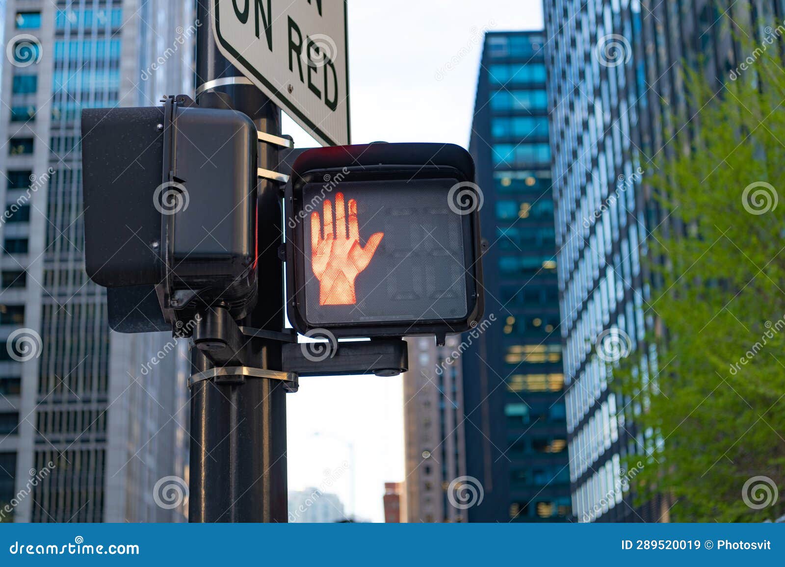 City Light Sign.Stop.Do Not Crossing. Stock Image - Image of crosswalk ...