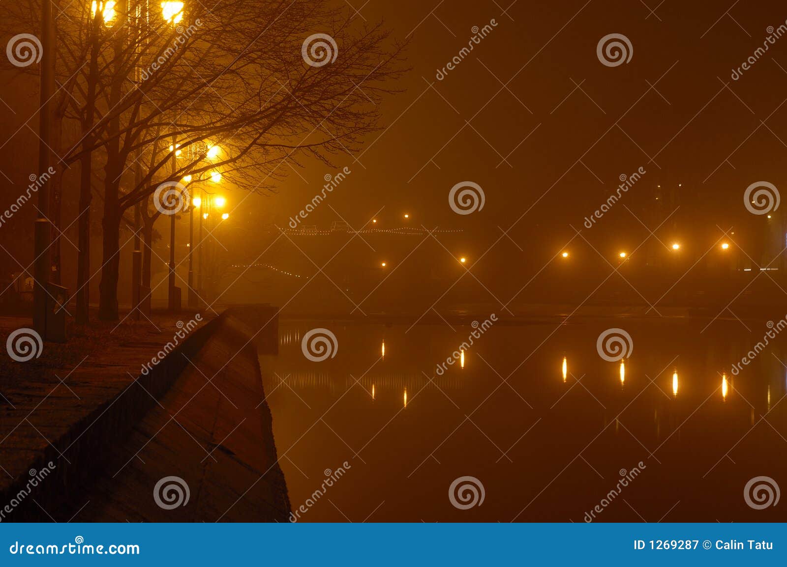 City Lights on a Foggy Night Stock Image - Image of spooky, winter: 1269287