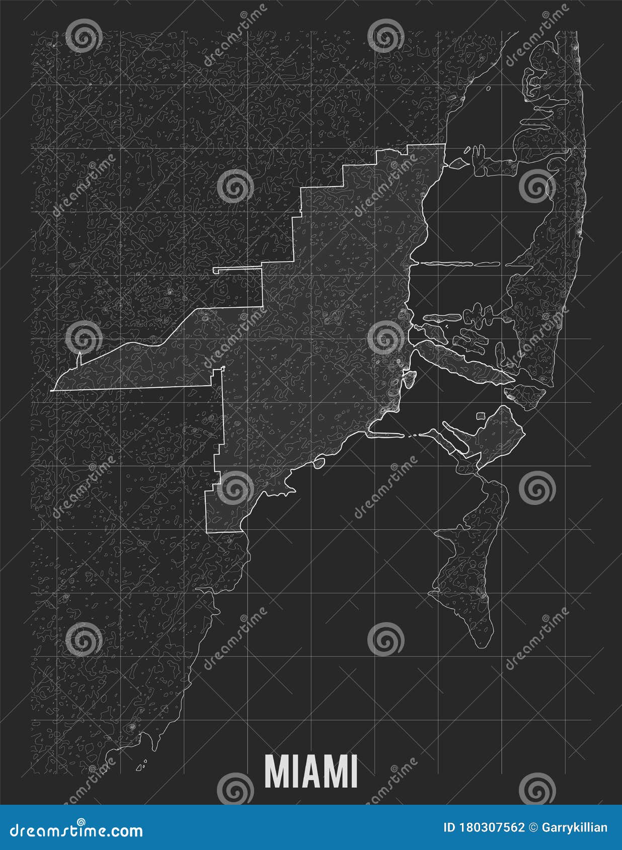 City Map of Miami. Vector Elevation Map of Town. Generated Conceptual ...