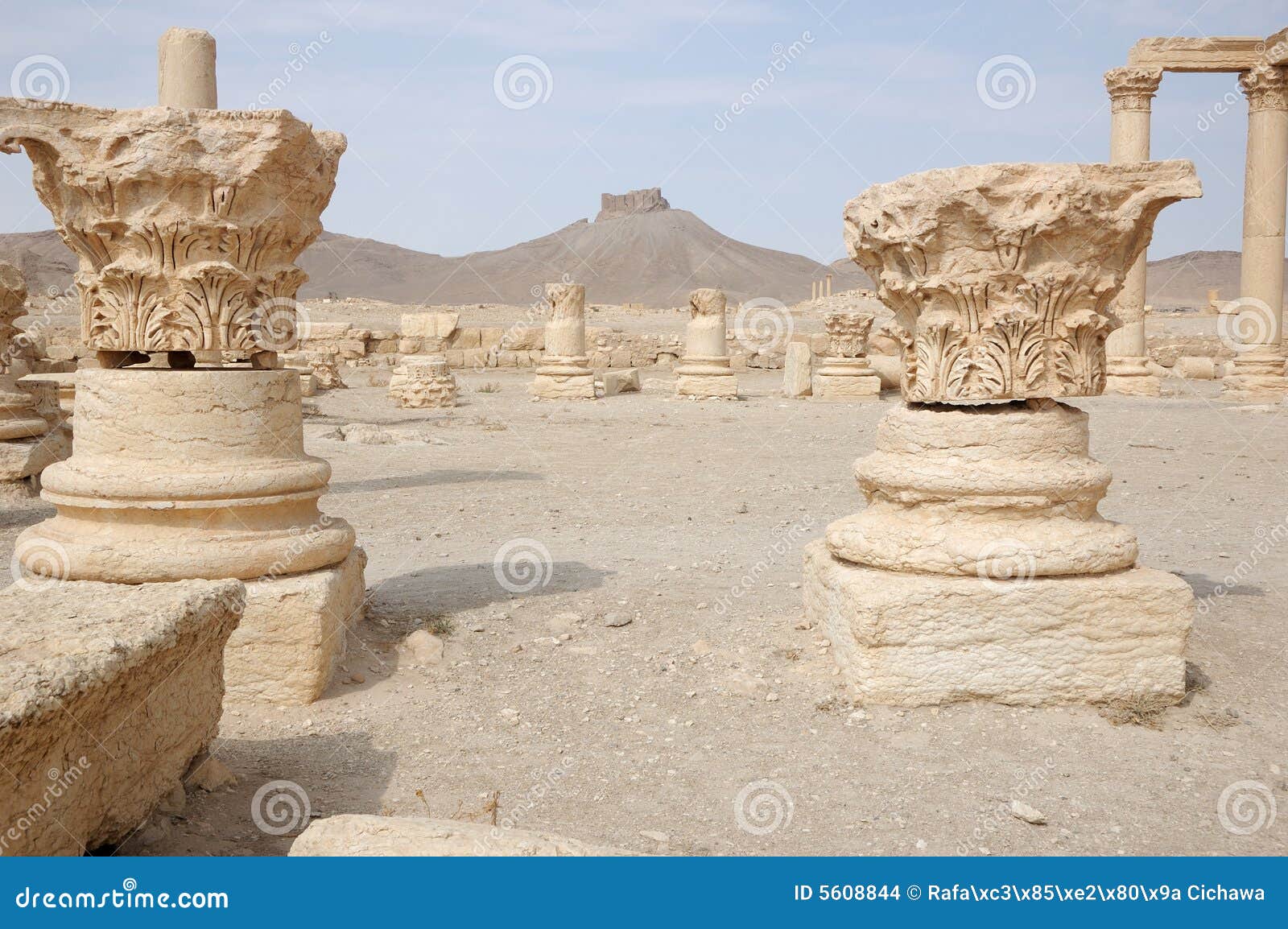 City of Palmyra - Arab Castle on Hill Stock Photo - Image of culture ...