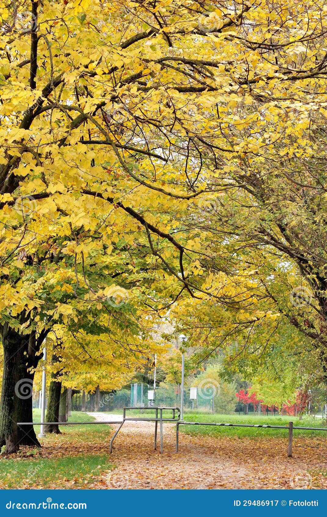 City park in autumn stock image. Image of path, landscape - 29486917