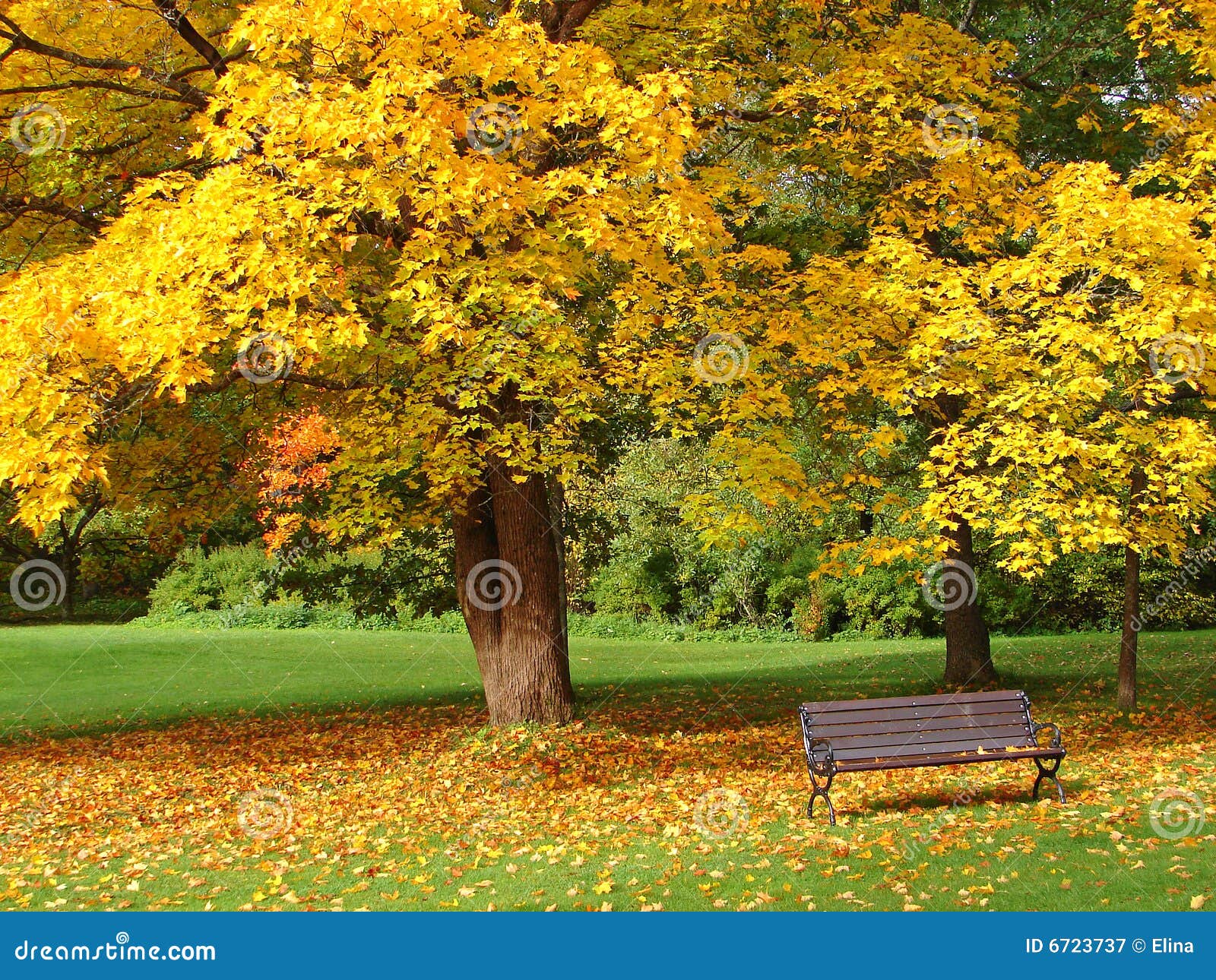 City park in autumn stock image. Image of fall, bench - 6723737
