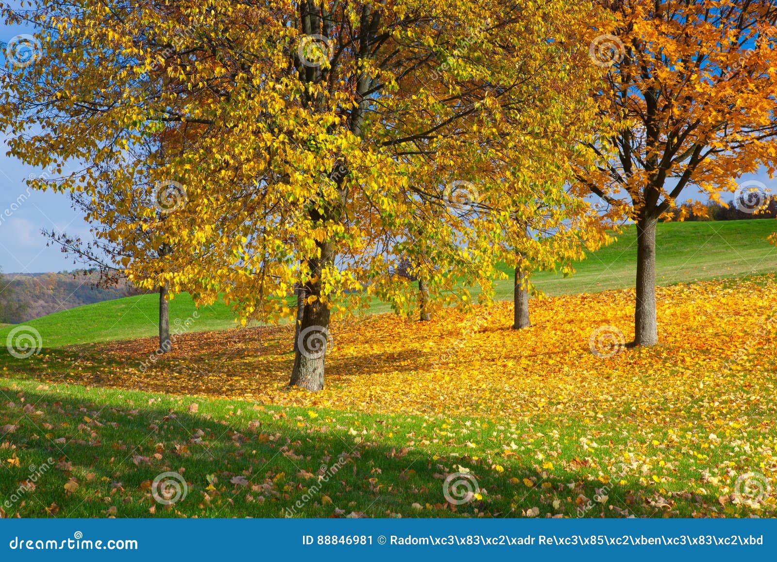 City Park with Autumn Colors Stock Image - Image of october, lanscape ...