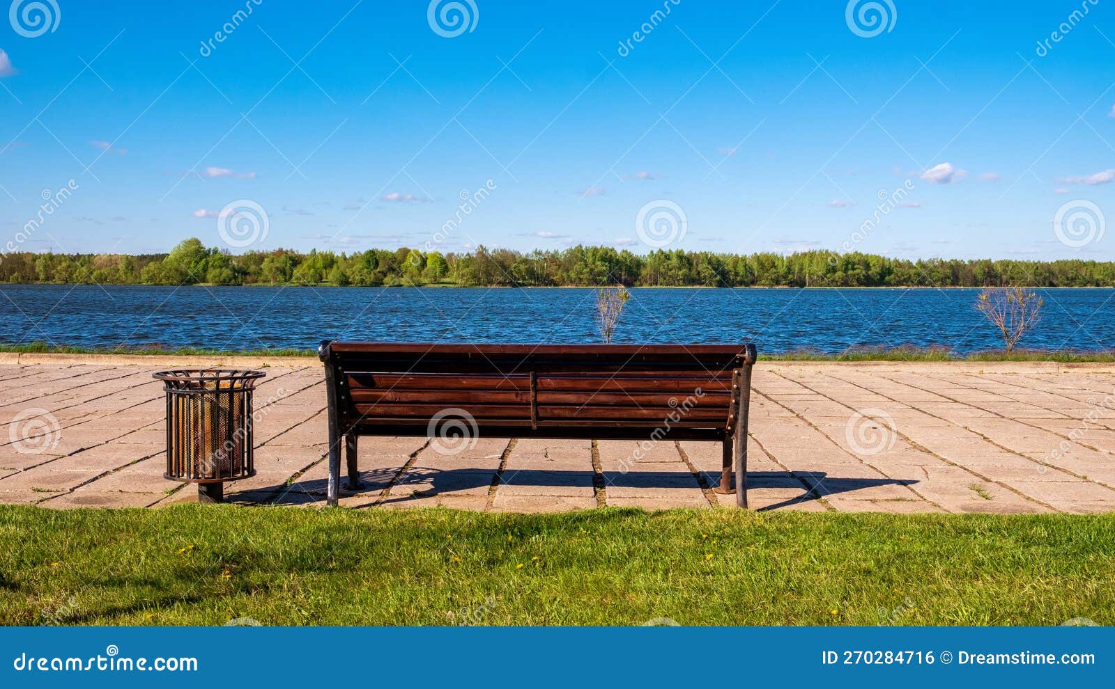 The City Park. an Empty Bench Overlooking the Water Surface Stock Photo ...