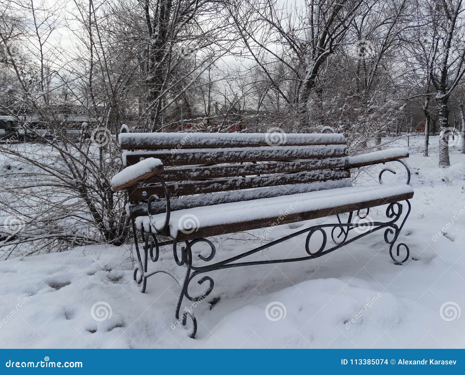 The Morning after a Snowfall Stock Photo - Image of white, nature ...