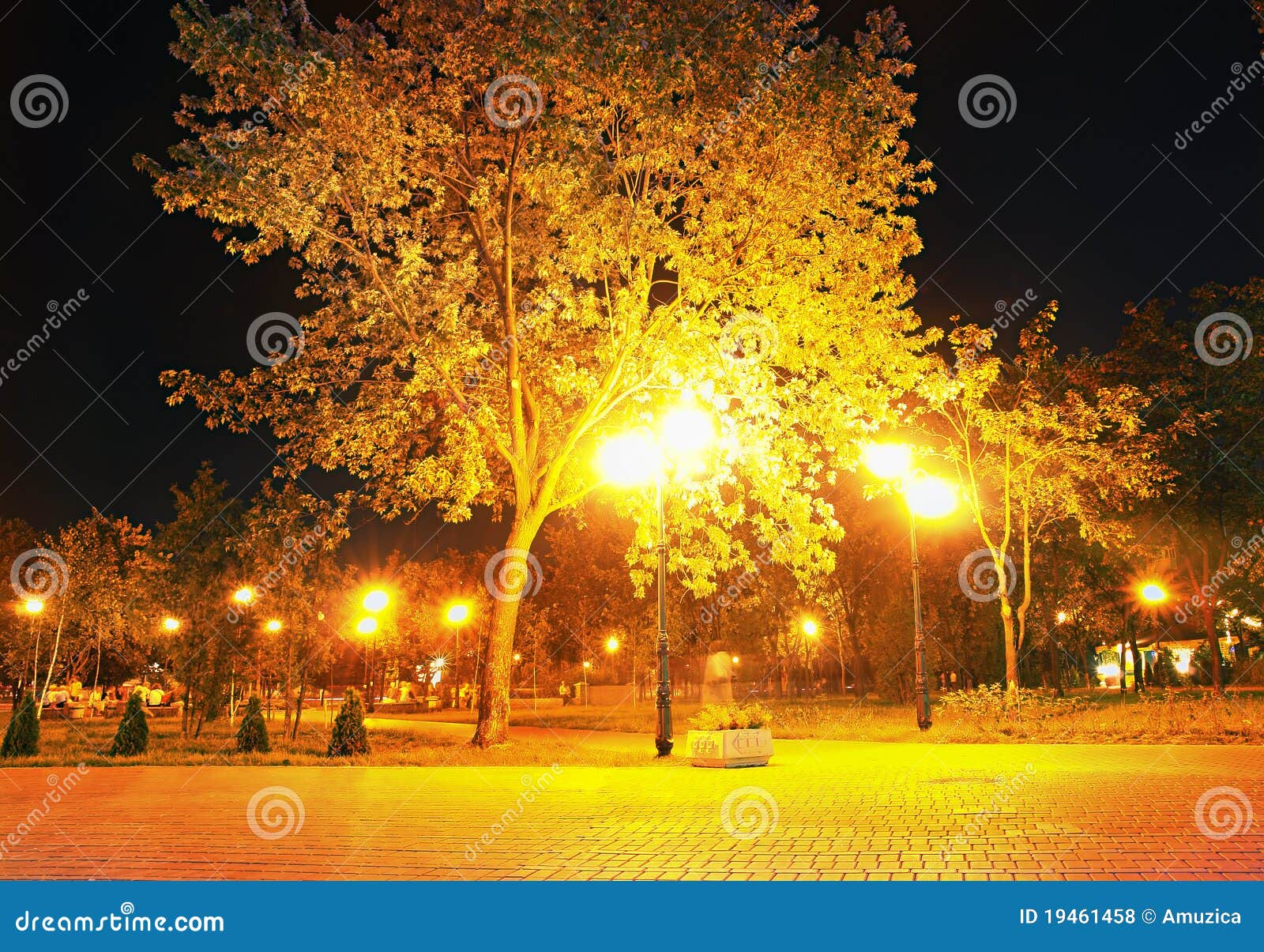 City park at night stock photo. Image of autumn, light - 19461458