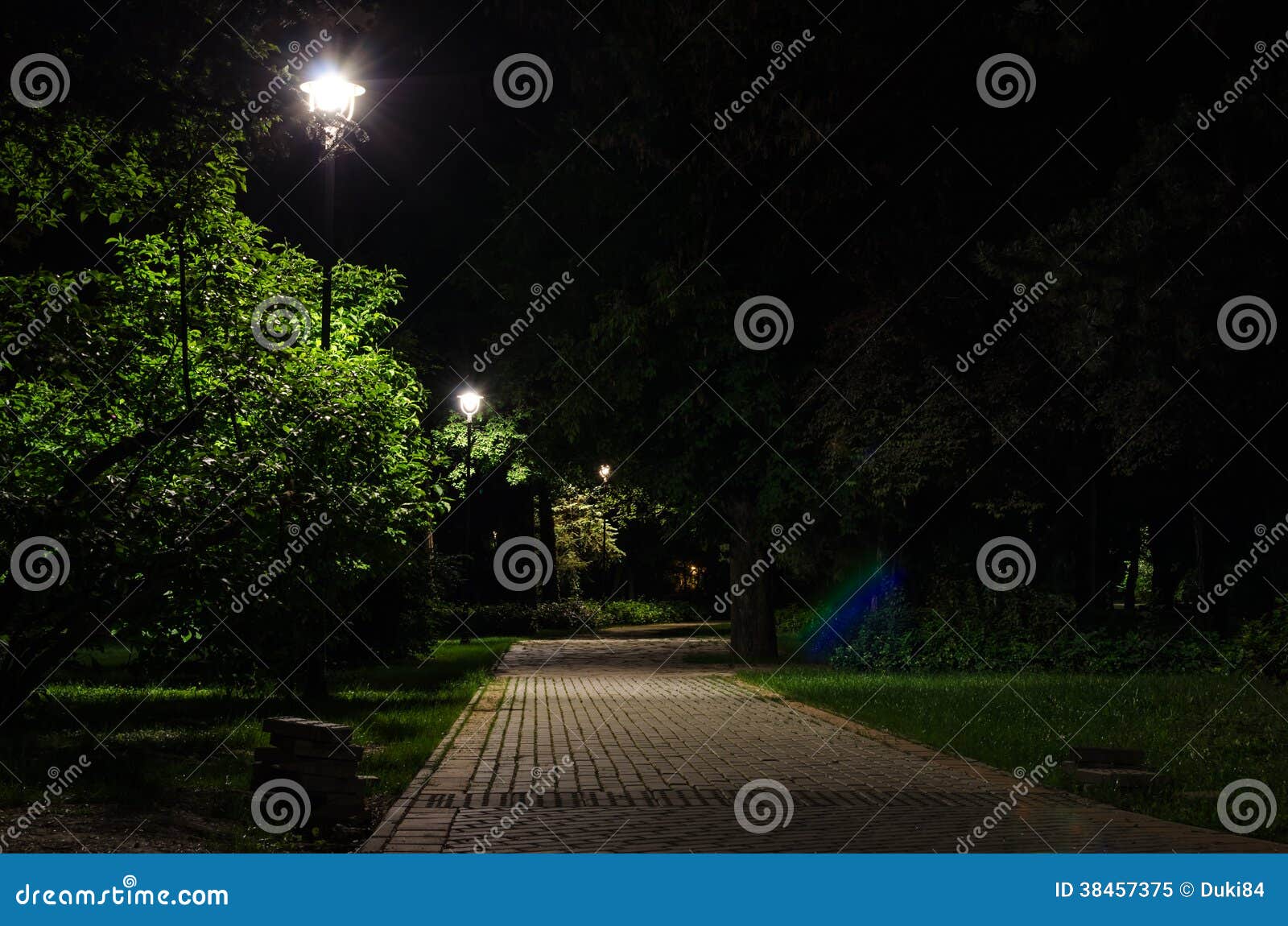 City park at night stock image. Image of park, trees - 38457375