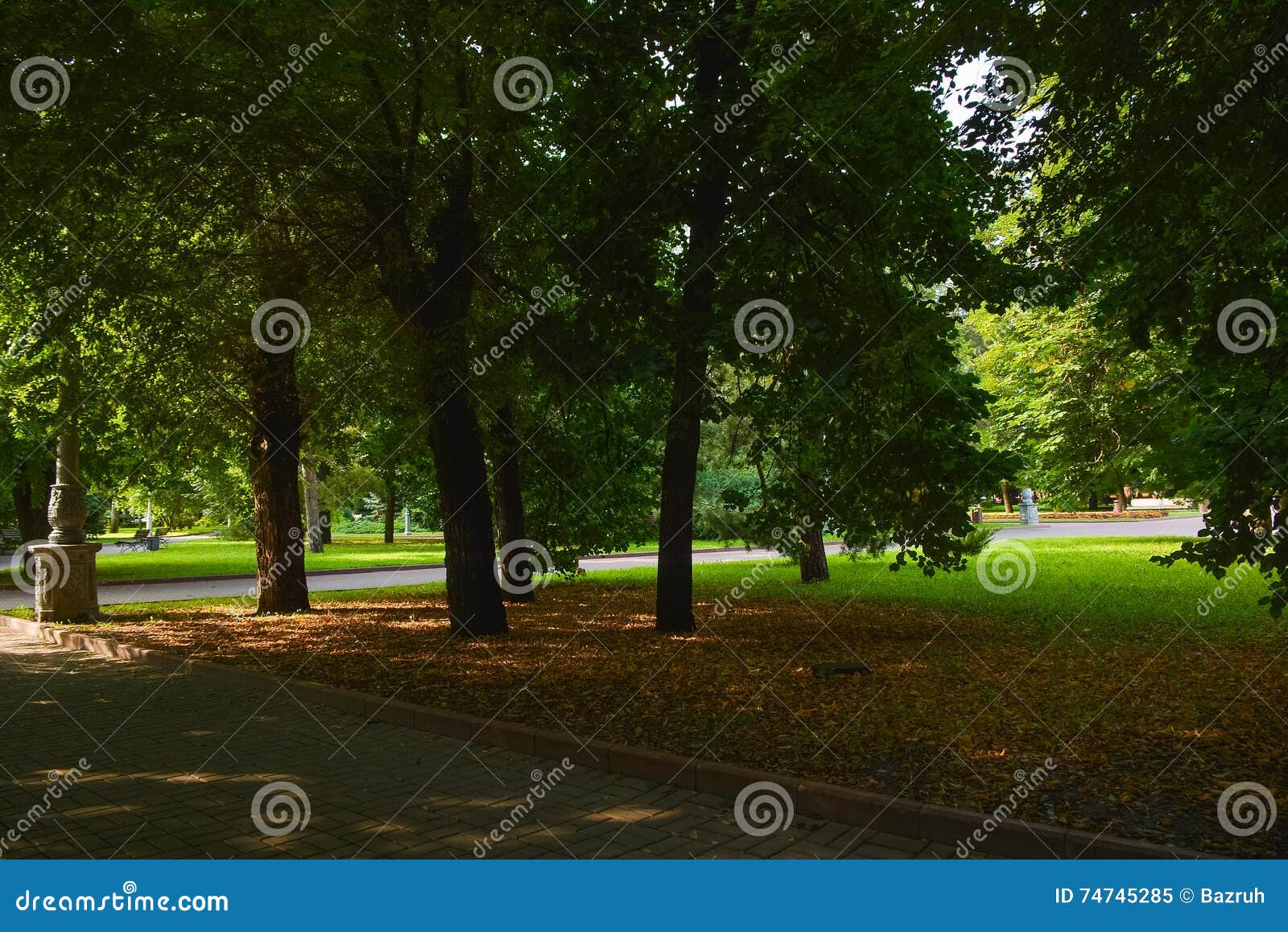 City park stock image. Image of trees, relax, urban, park - 74745285