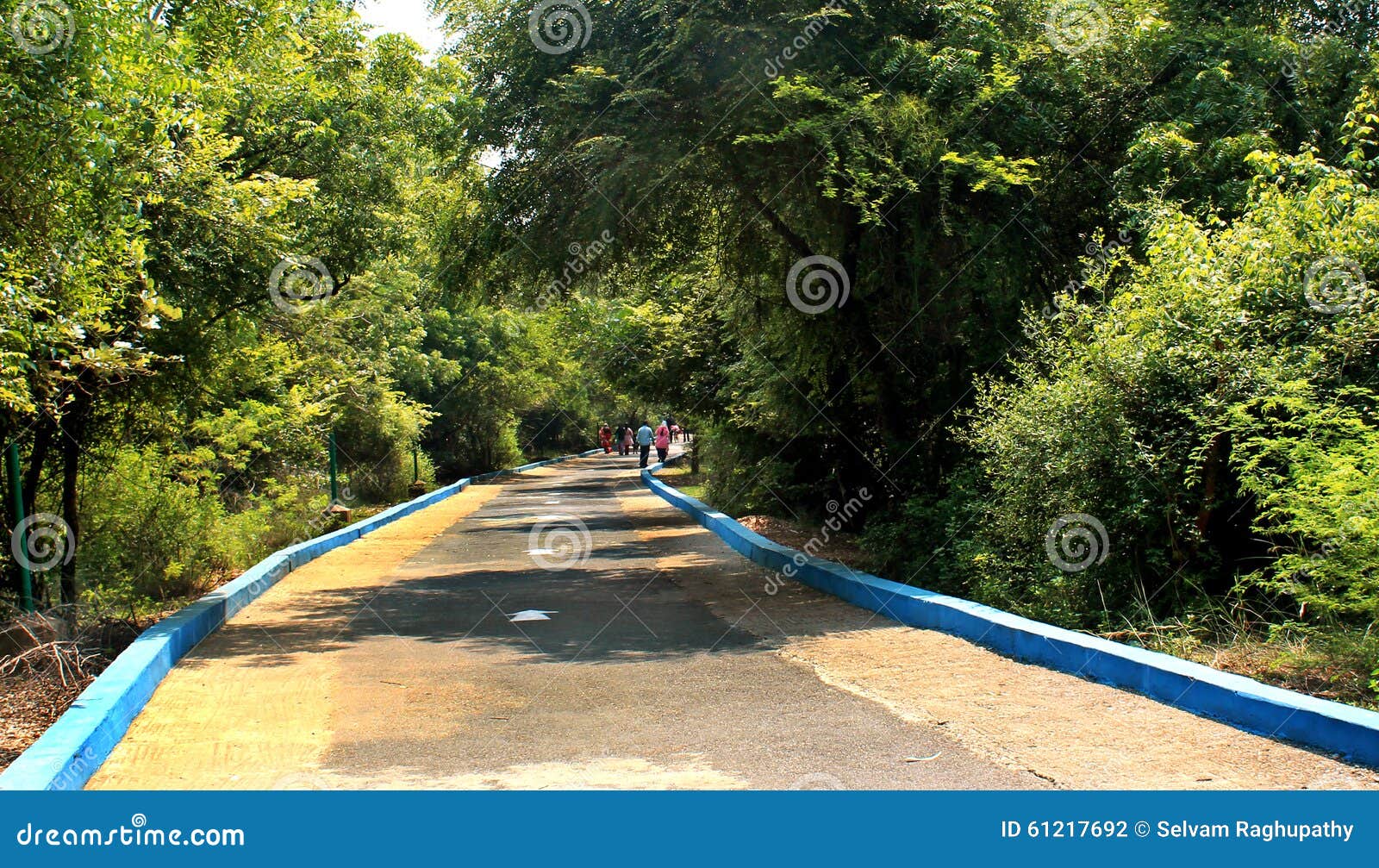 City Park Pathway stock photo. Image of town, walking - 61217692