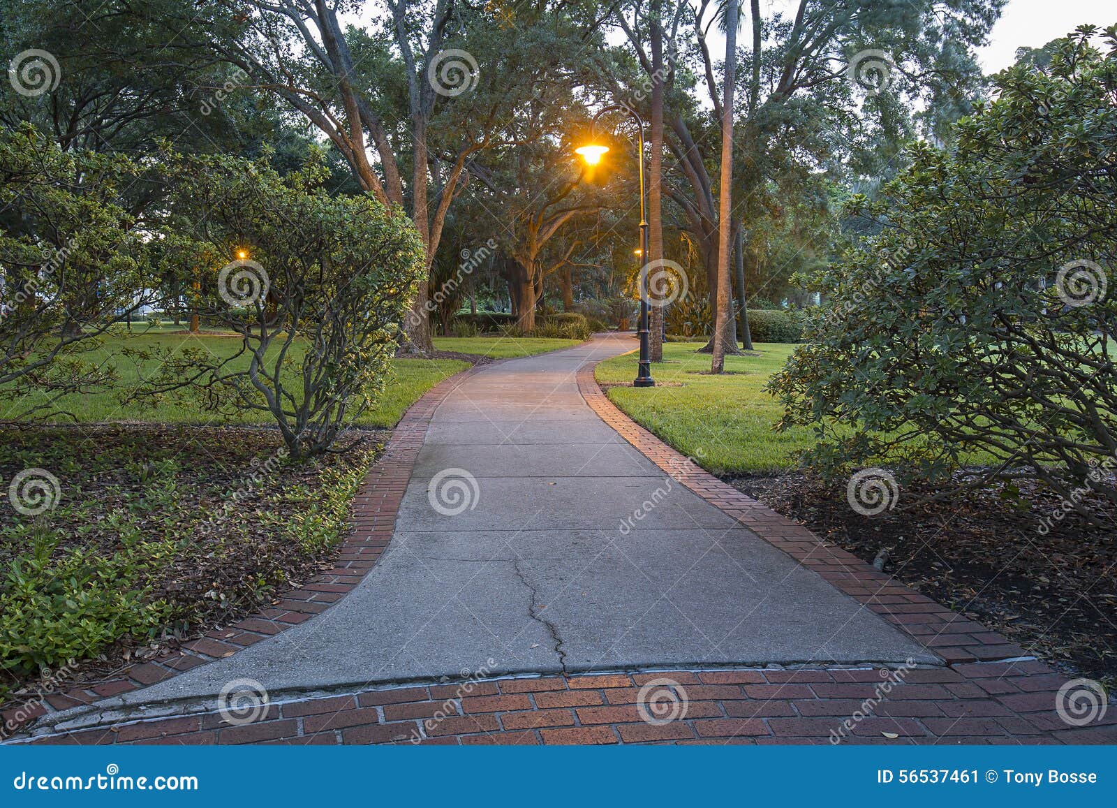 City Park Pathway stock image. Image of trail, exercise - 56537461
