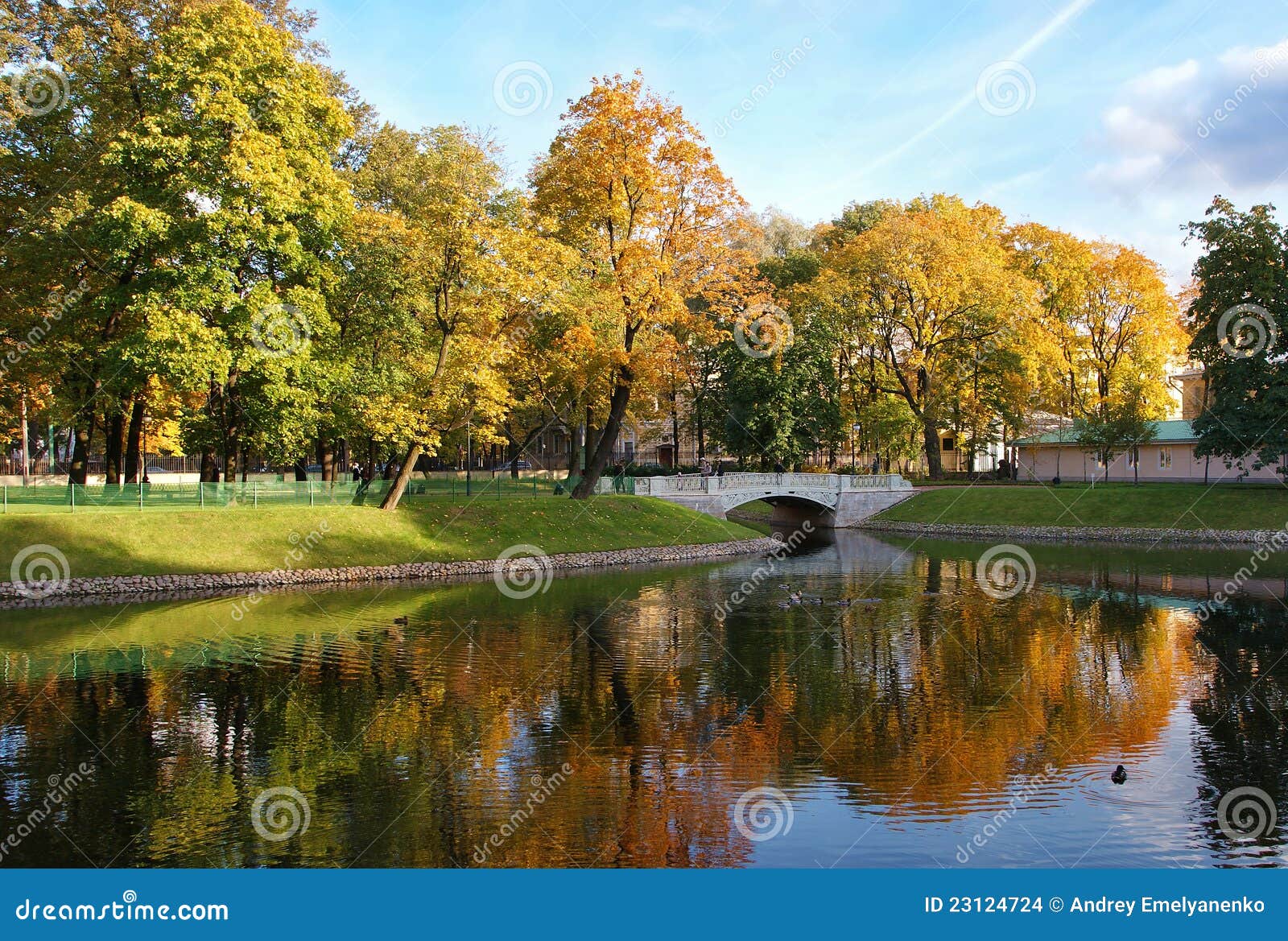 City park with a pond. stock photo. Image of grass, lawn - 23124724